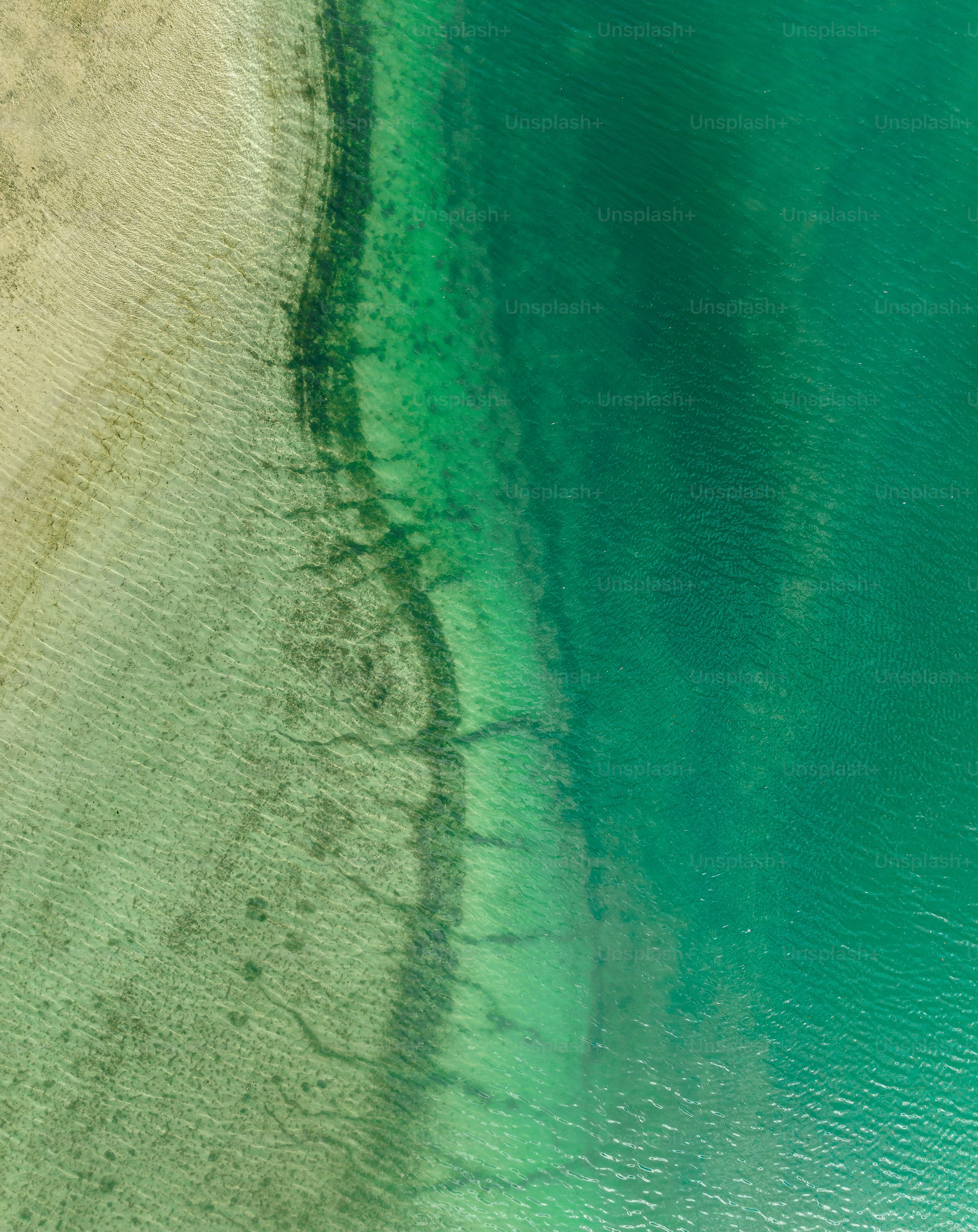 An aerial view of a beach and a body of water photo – Emerald Image on ...