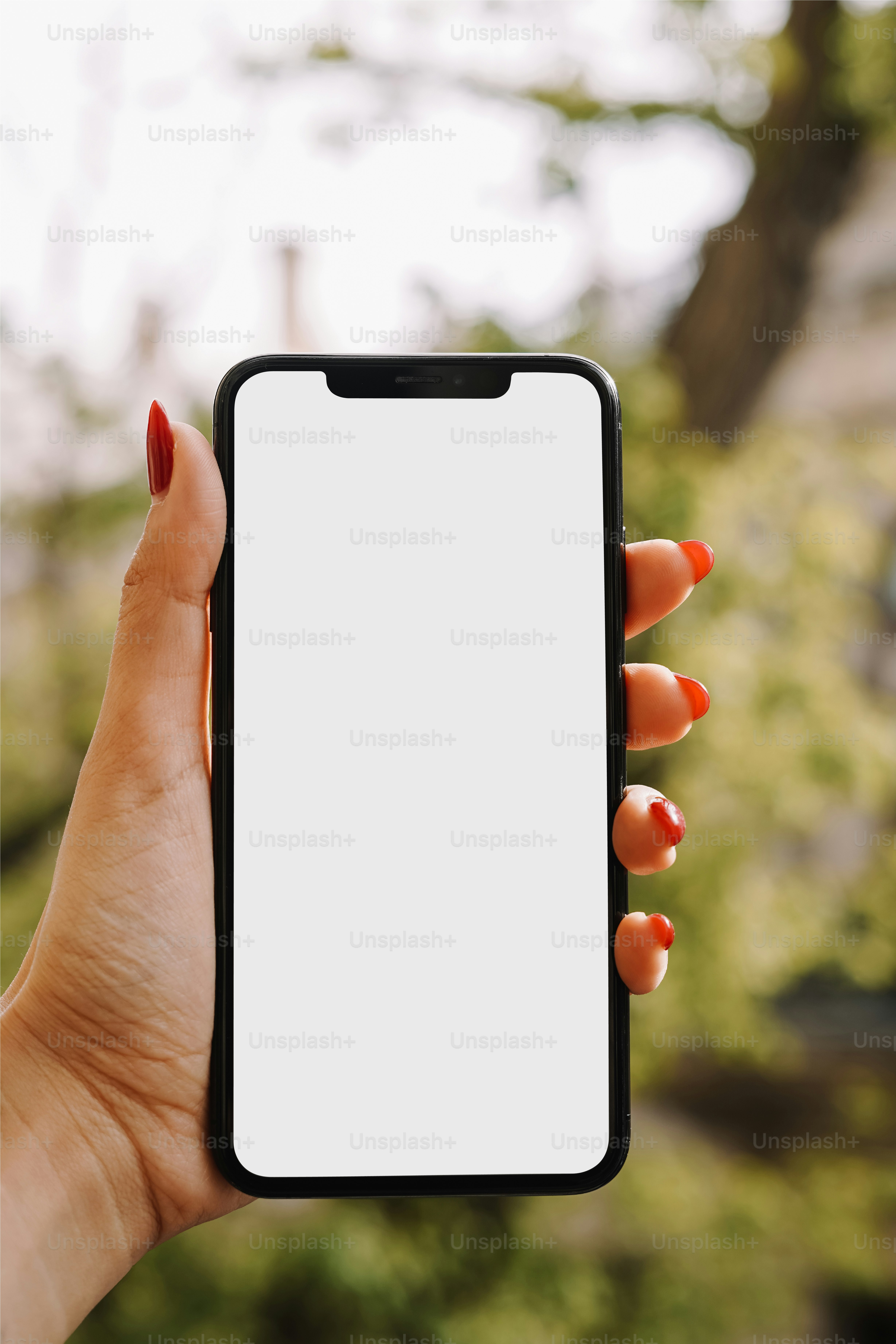 A woman's hand holding a cell phone with a blank screen photo – Phone ...