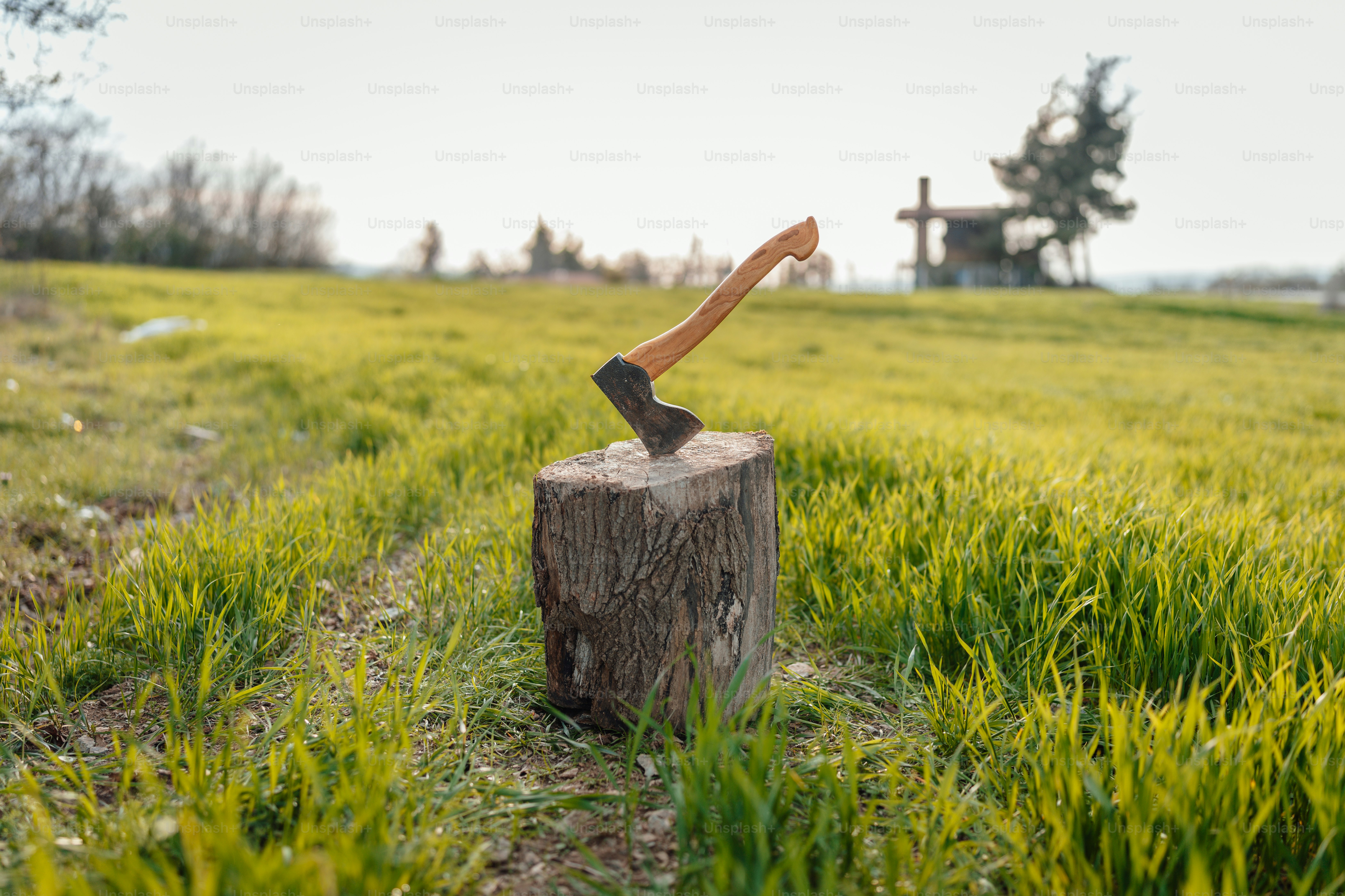 Une hache coincée dans une souche d’arbre dans un champ photo – Hache ...