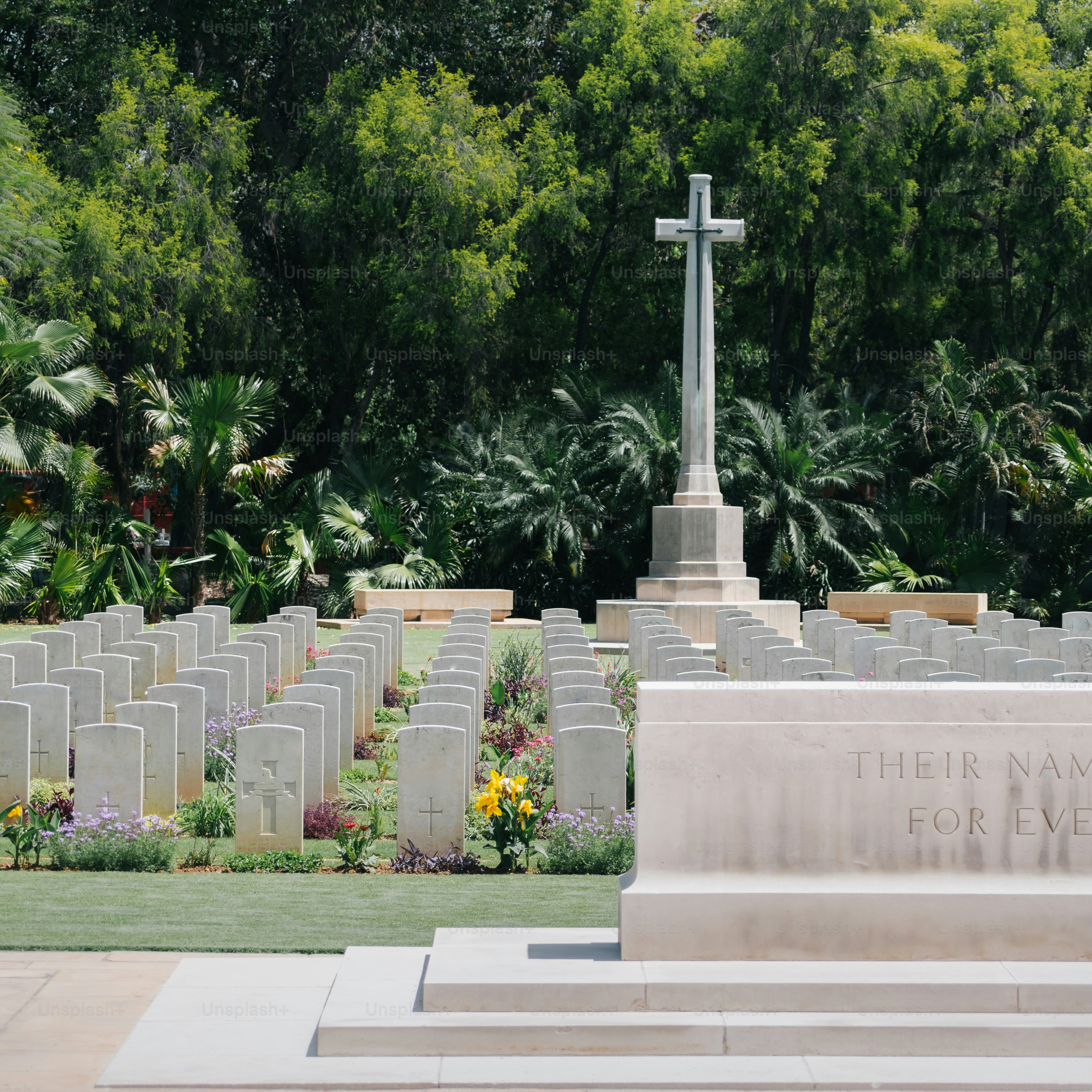 Gravestone Pictures | Download Free Images on Unsplash