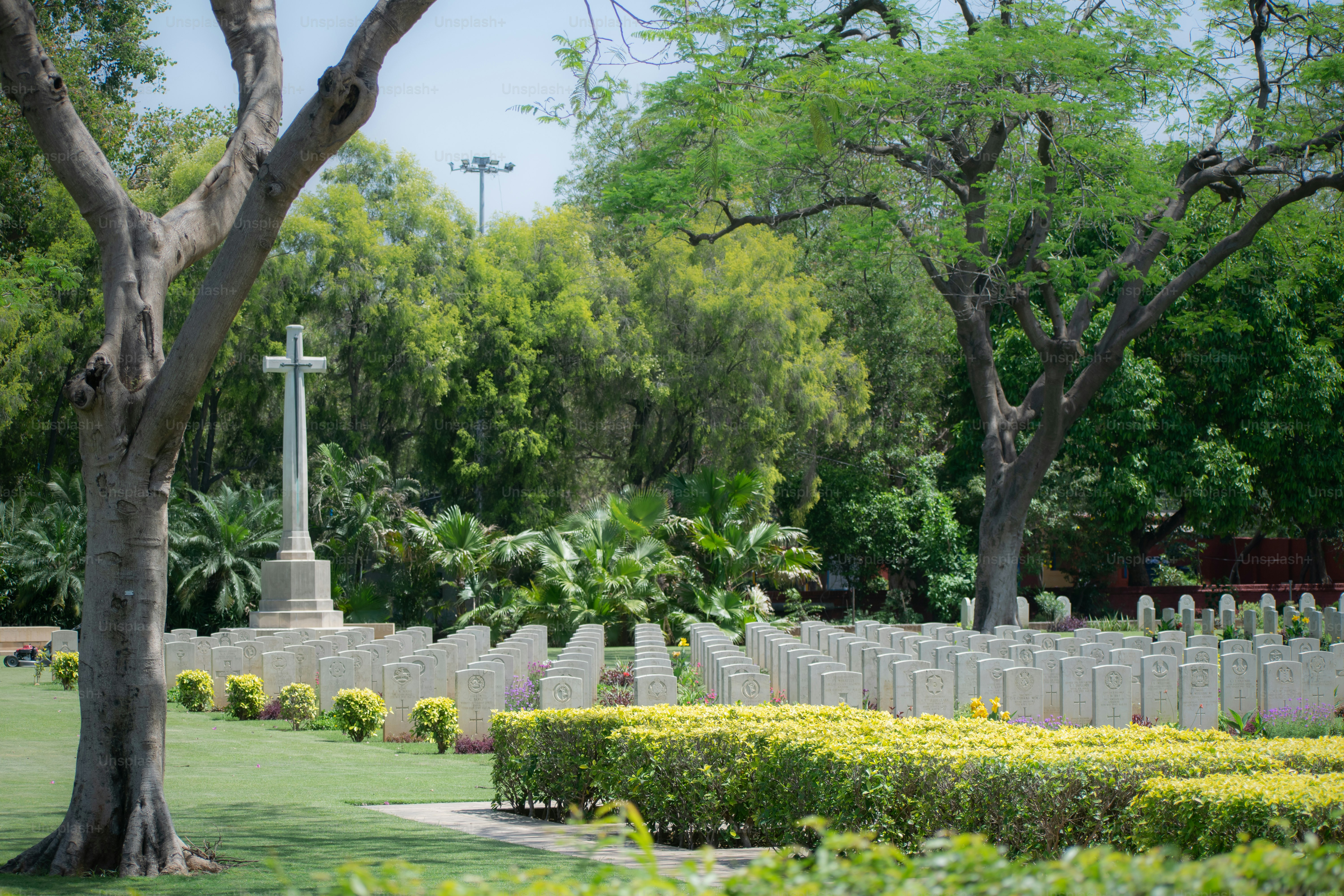 750+ Grave Pictures | Download Free Images on Unsplash