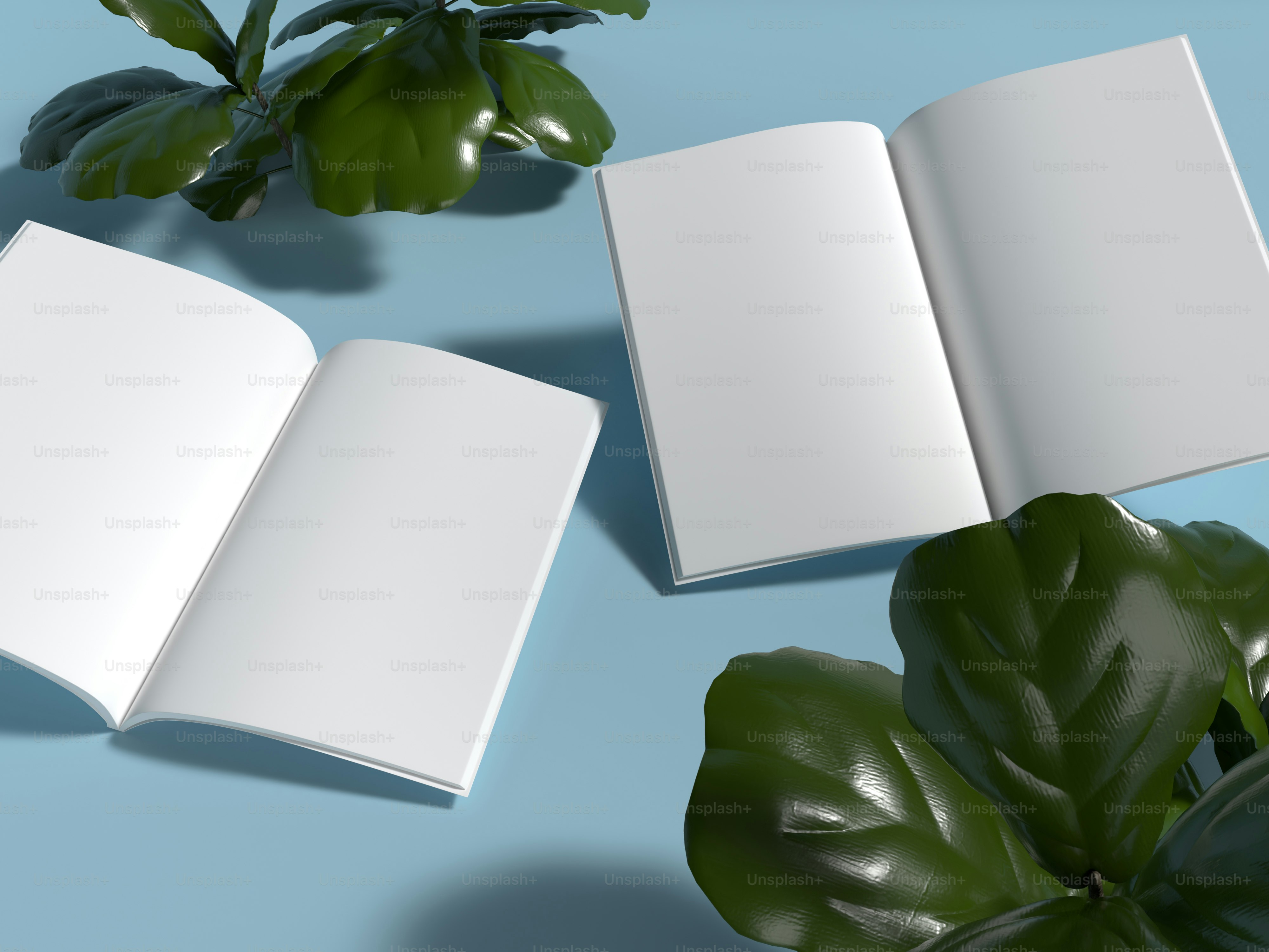 100+ Open Book Pictures & Images | Download Free Photos on Unsplash