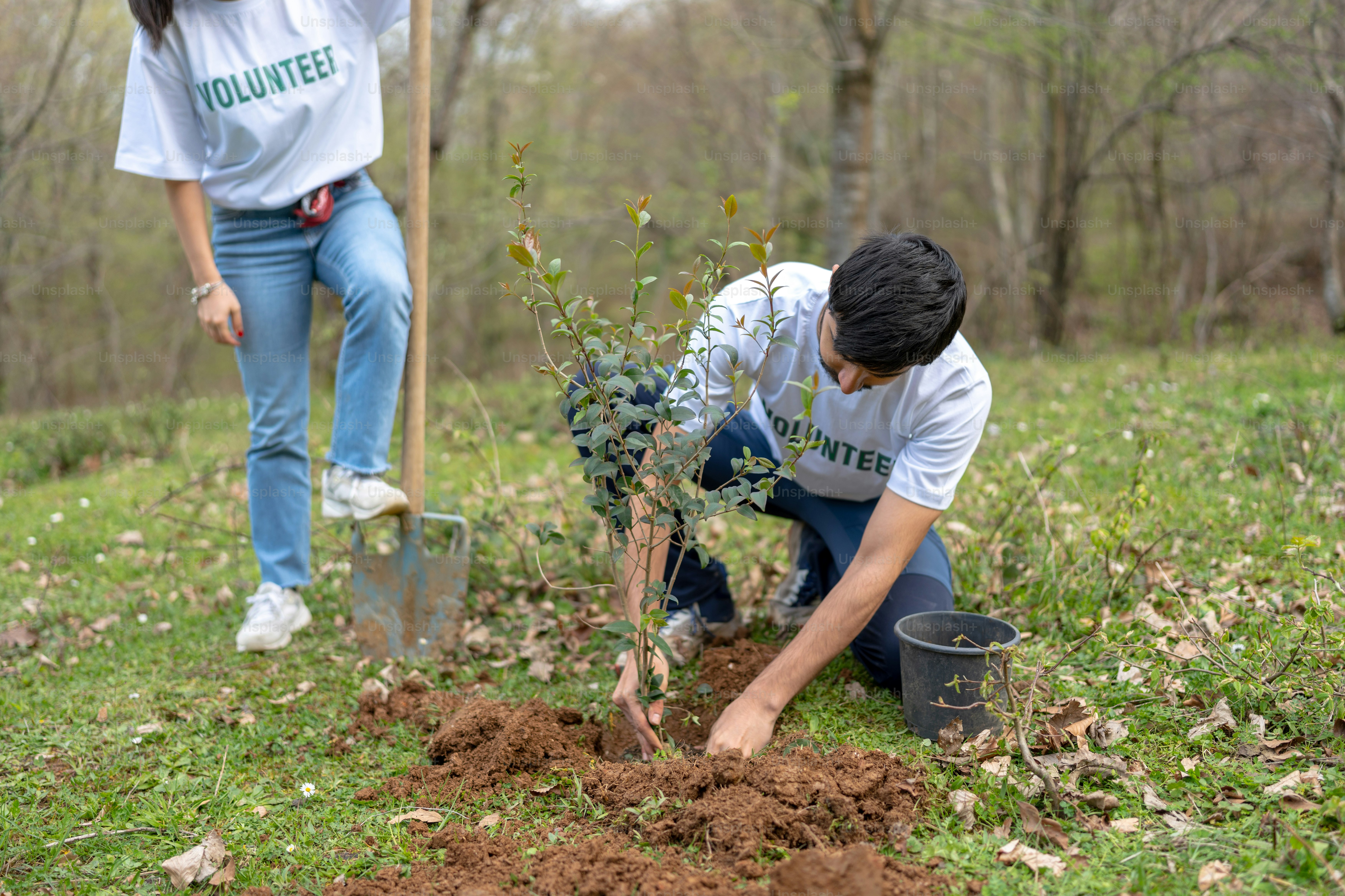 A couple of people that are in the grass photo – Plant trees Image on ...
