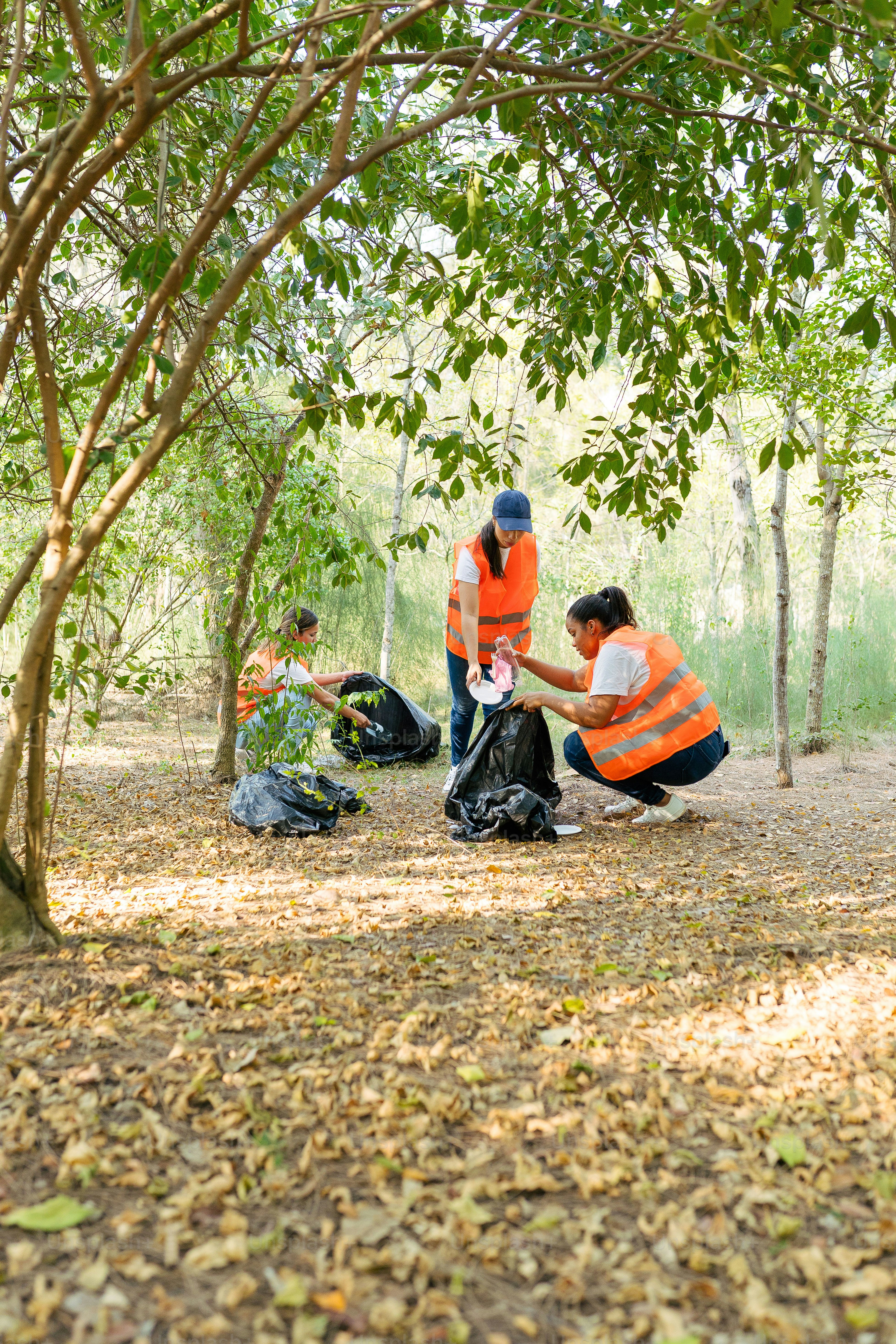 A group of people picking up trash in the woods photo – Outdoors Image ...