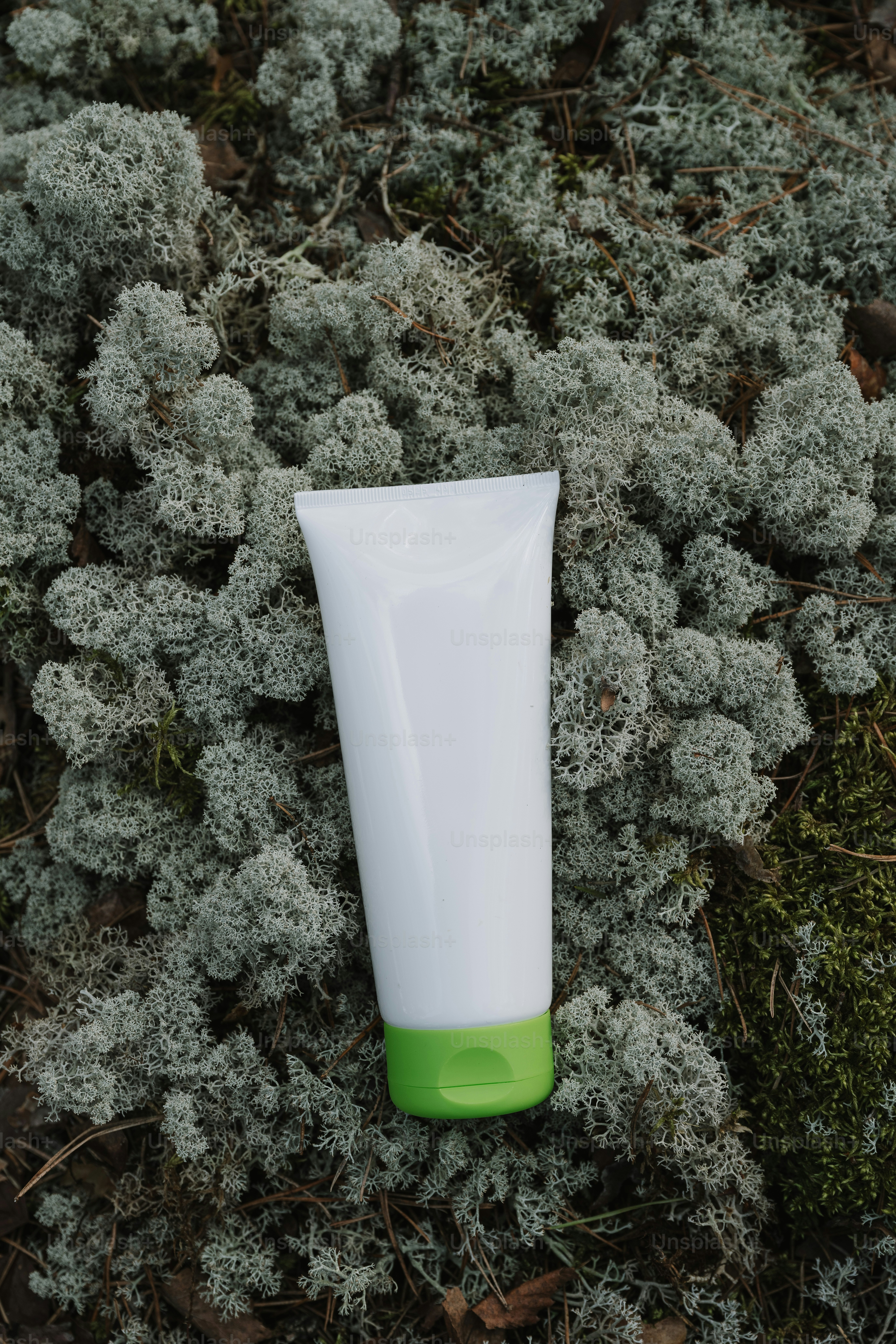 A tube of toothpaste sitting on a bed of moss photo – Lotion Image on ...