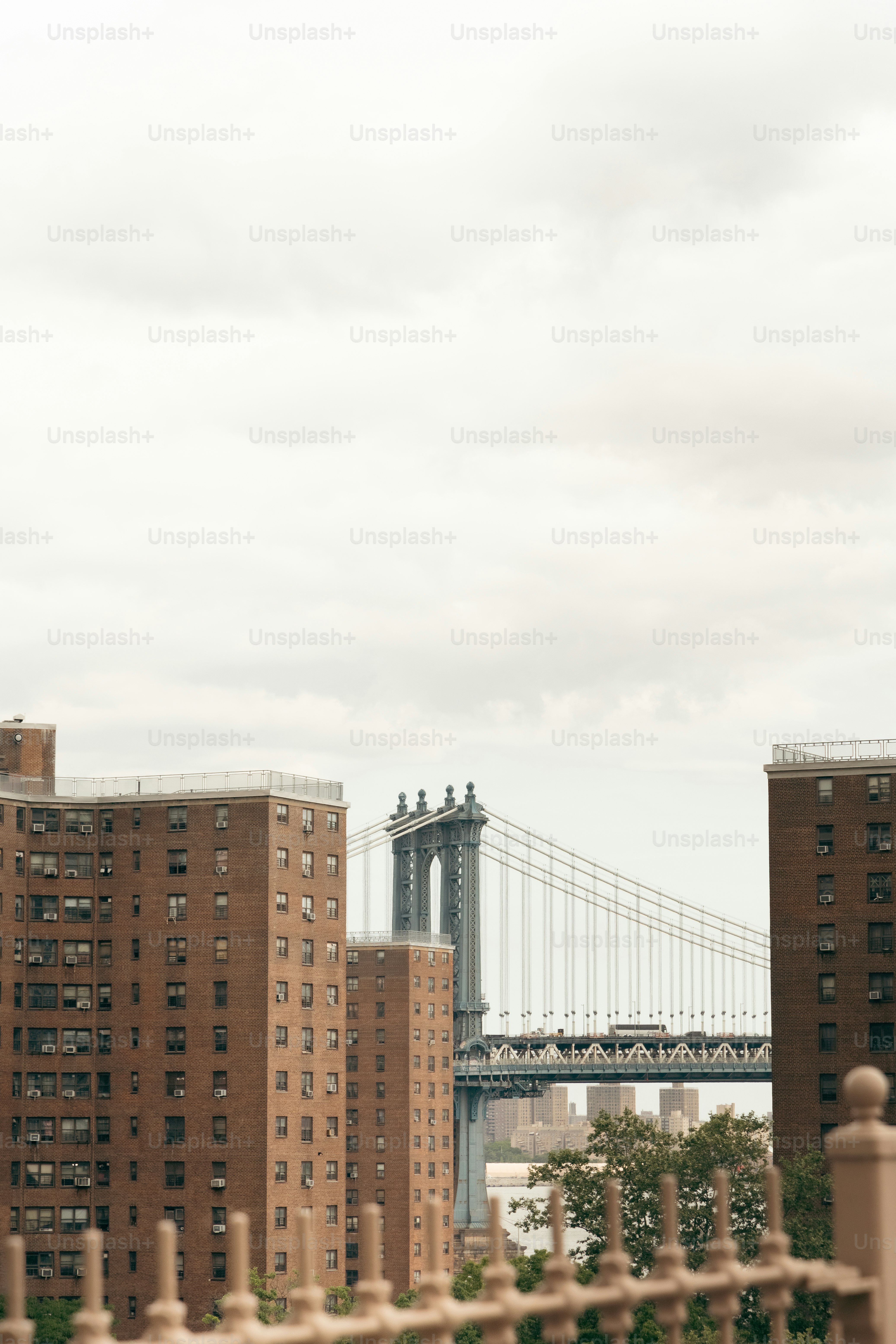 A view of a bridge over a city with tall buildings photo – New york ...