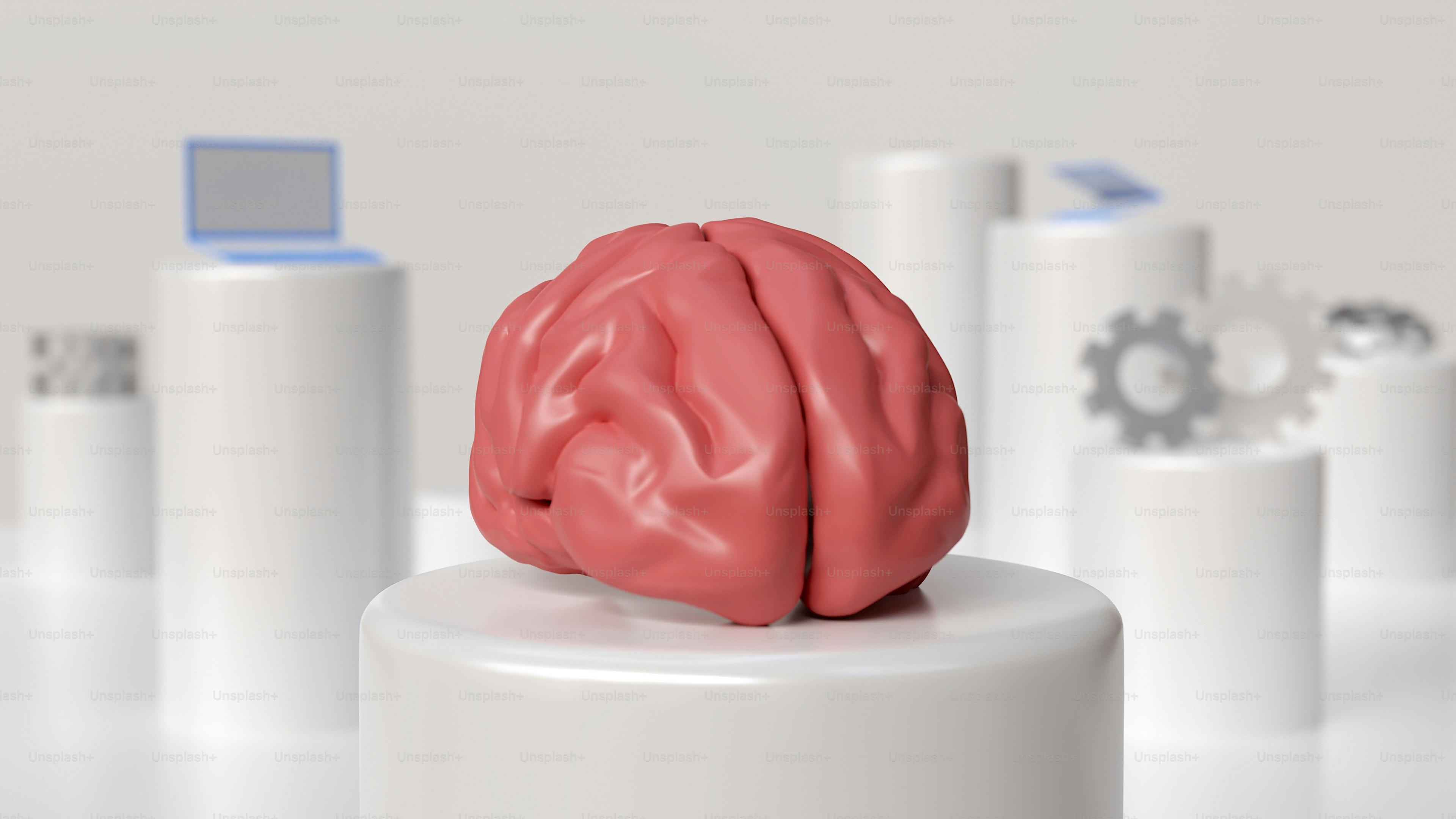 A pink model of a human brain on a reflective surface photo – Brain ...