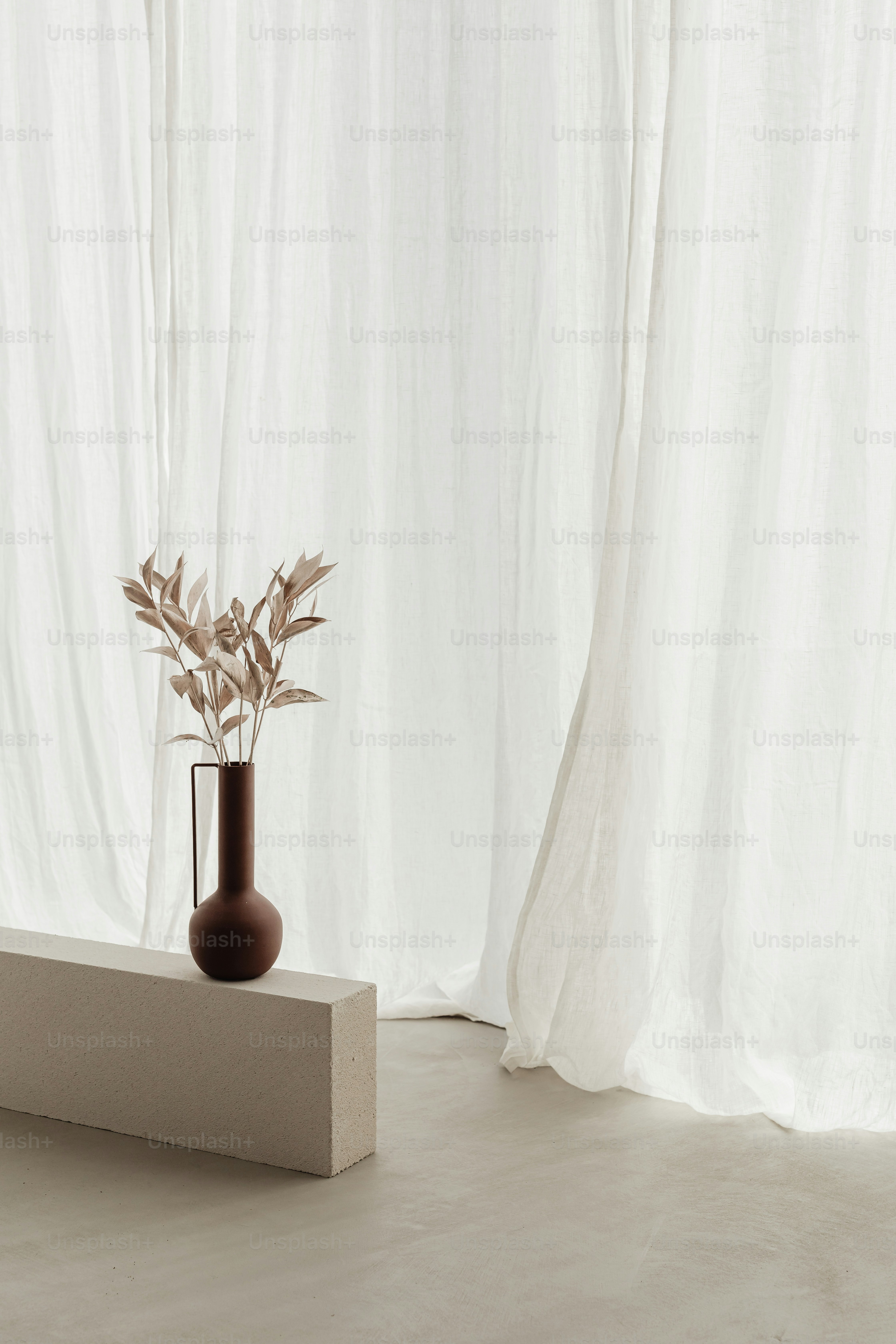 Backdrop Pictures [HD] | Download Free Images on Unsplash