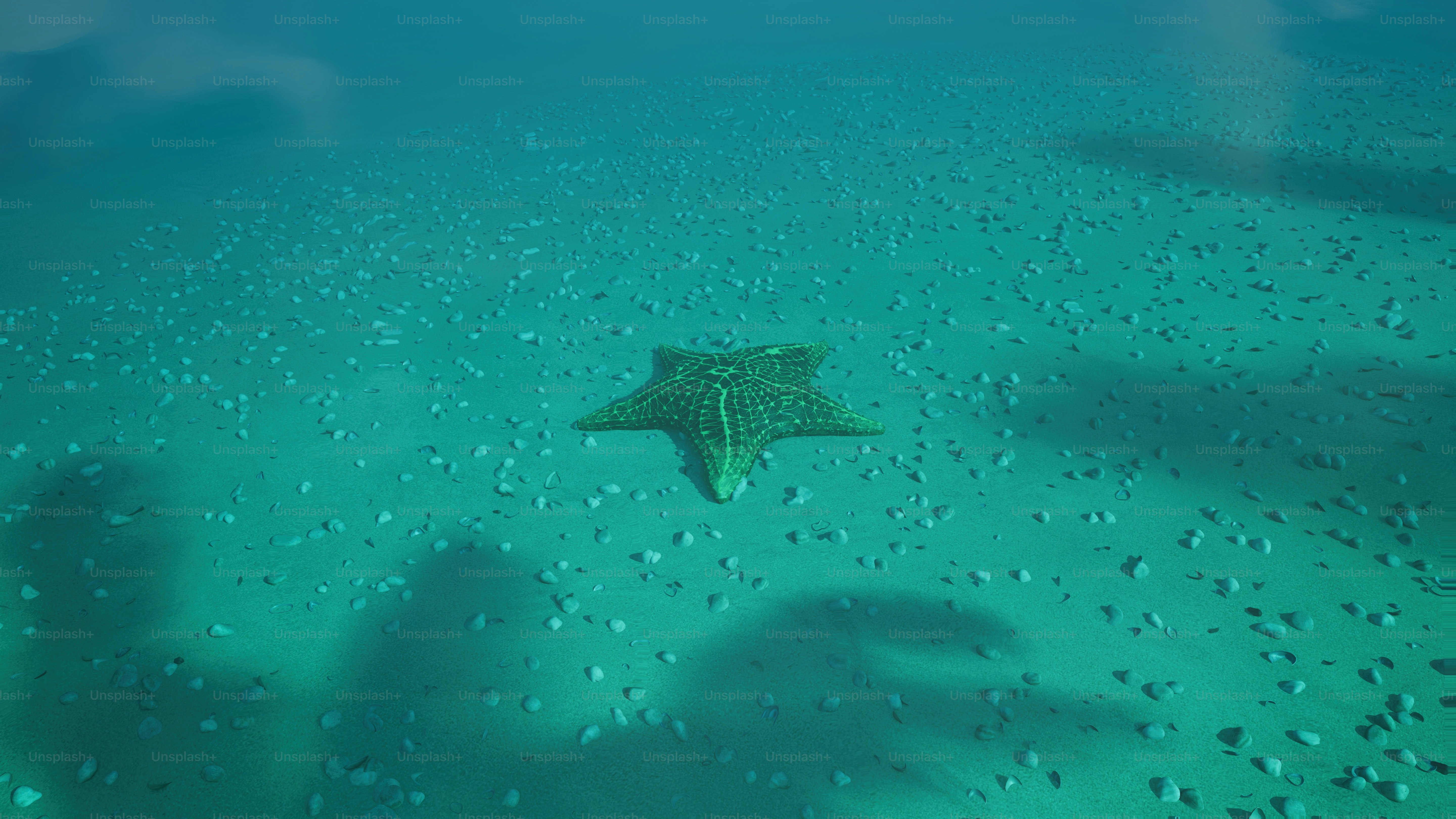 A large starfish swimming in the ocean photo – Summer Image on Unsplash