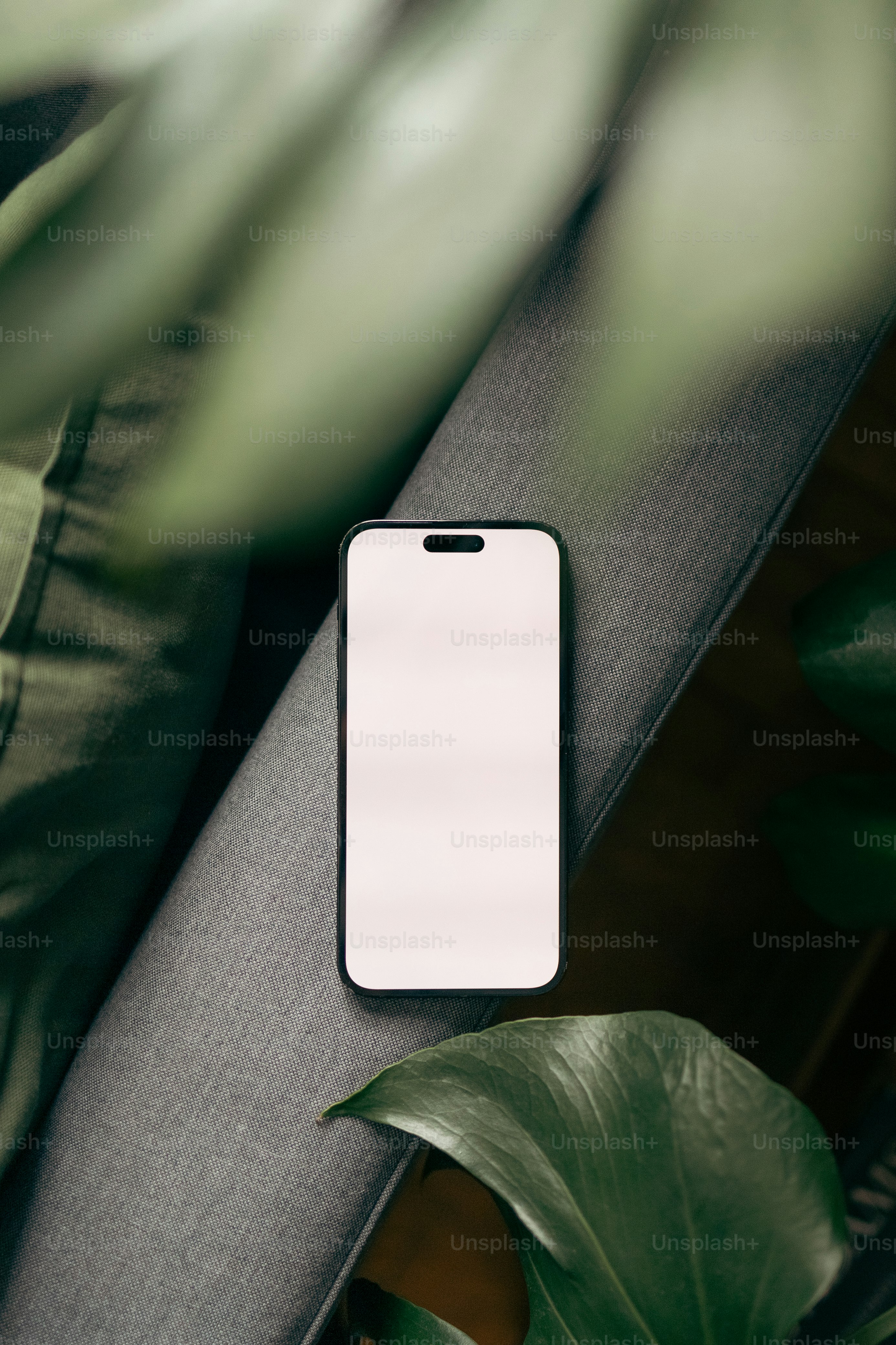 A cell phone sitting on top of a table next to a plant photo ...