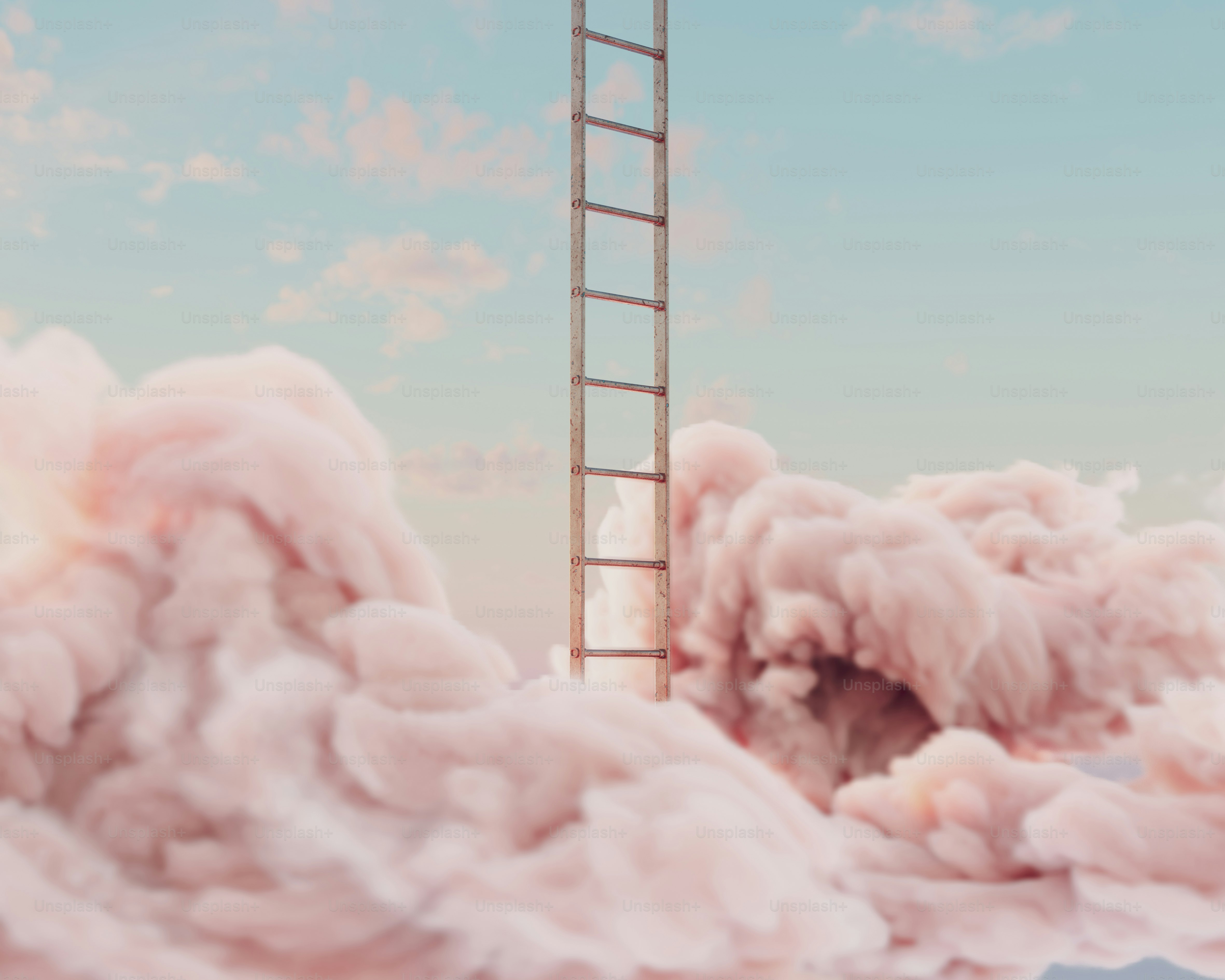 750+ Ladder Pictures | Download Free Images on Unsplash