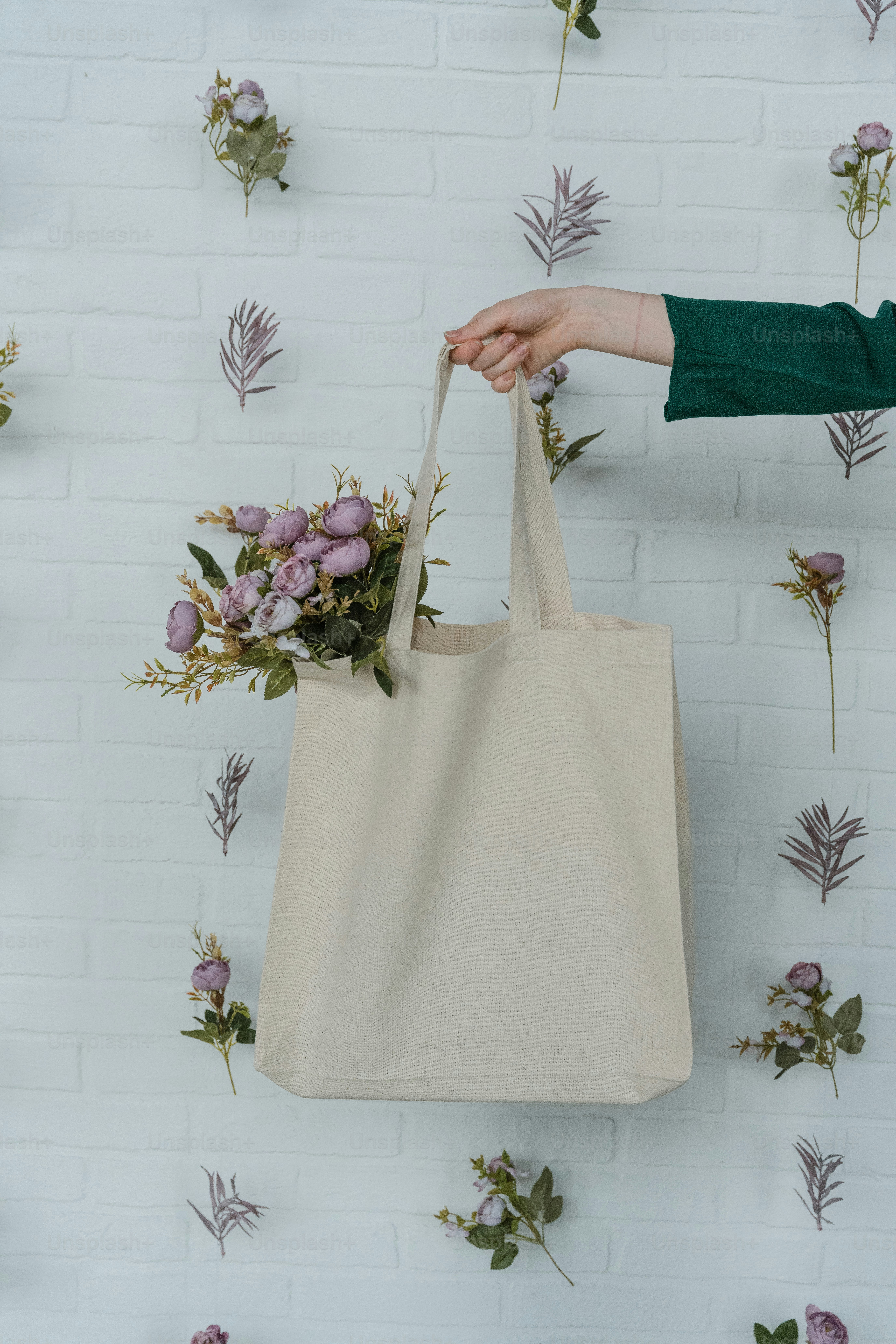 500+ Psd Pictures [HD] | Download Free Images on Unsplash