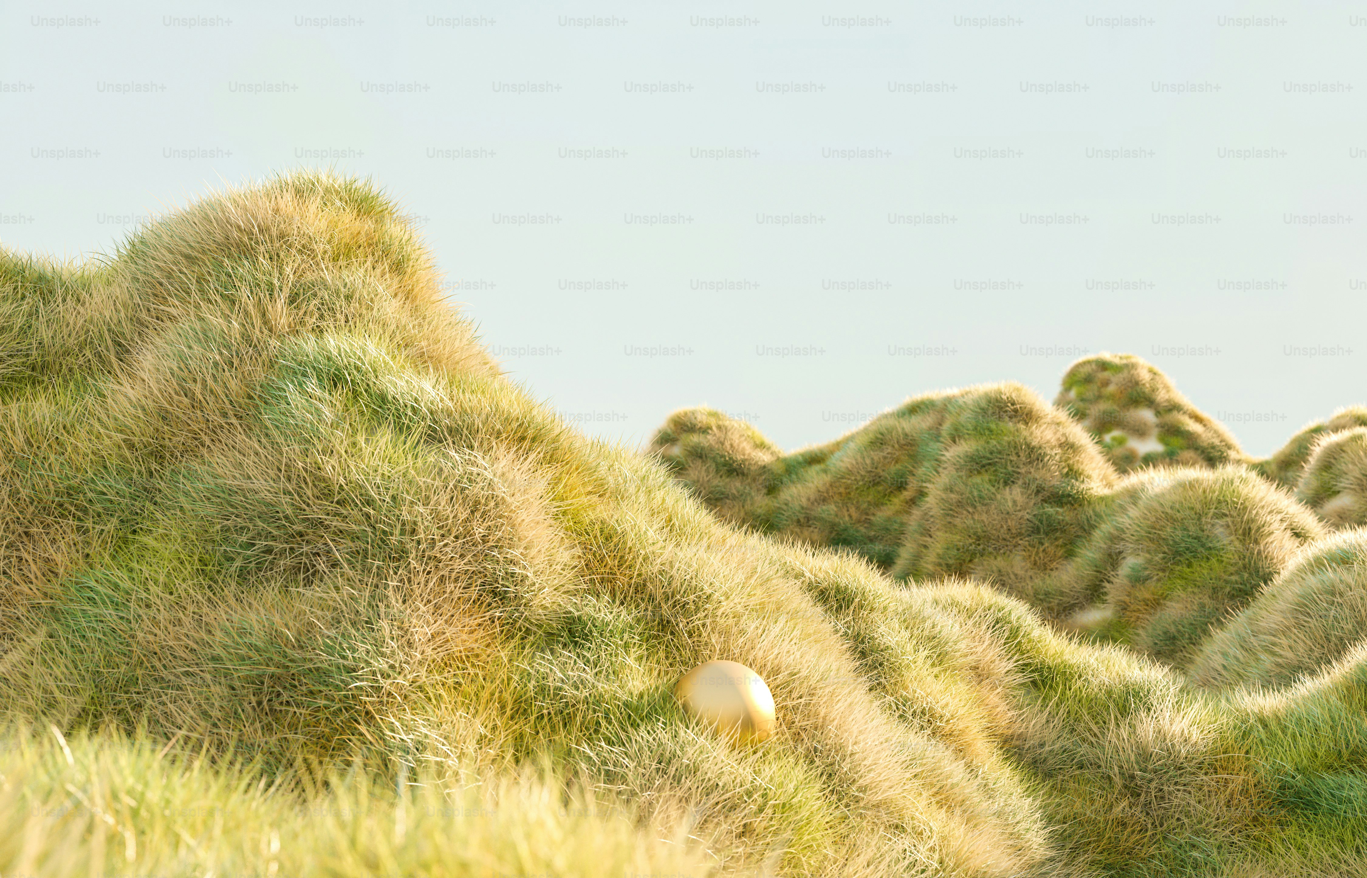 Haystack Rock Pictures | Download Free Images on Unsplash