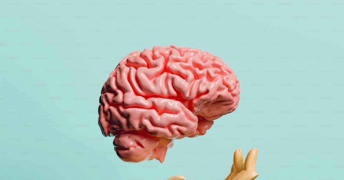 그 위에 떠 있는 뇌가 있는 손 학습과 정신 건강의 개념 3d 렌더링 사진 Unsplash의 추상적인 이미지