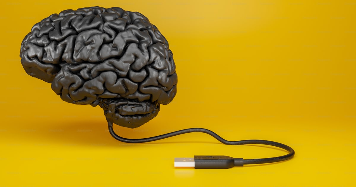 노란색 배경에 연결된 Usb 케이블로 어두운 물질로 만들어진 인간의 두뇌를 표현합니다 3d 그림 사진 Unsplash의
