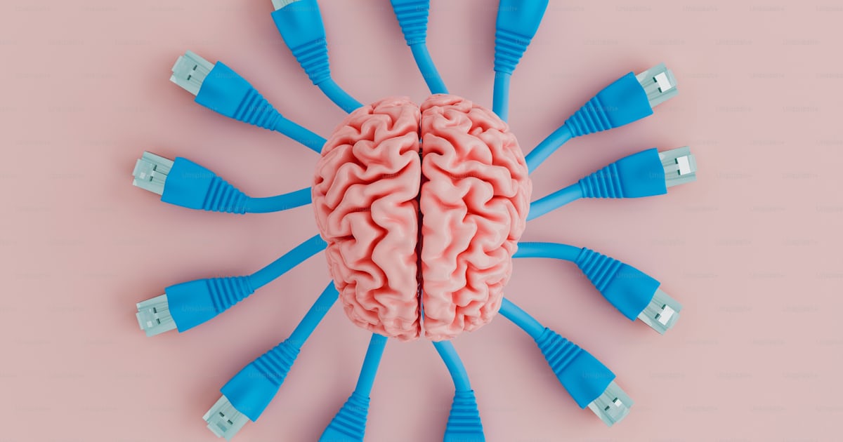 네트워크 케이블이 연결된 뇌의 평면도 기술 Ai 및 아이디어의 개념입니다 3d 렌더링 사진 Unsplash의 기술 이미지