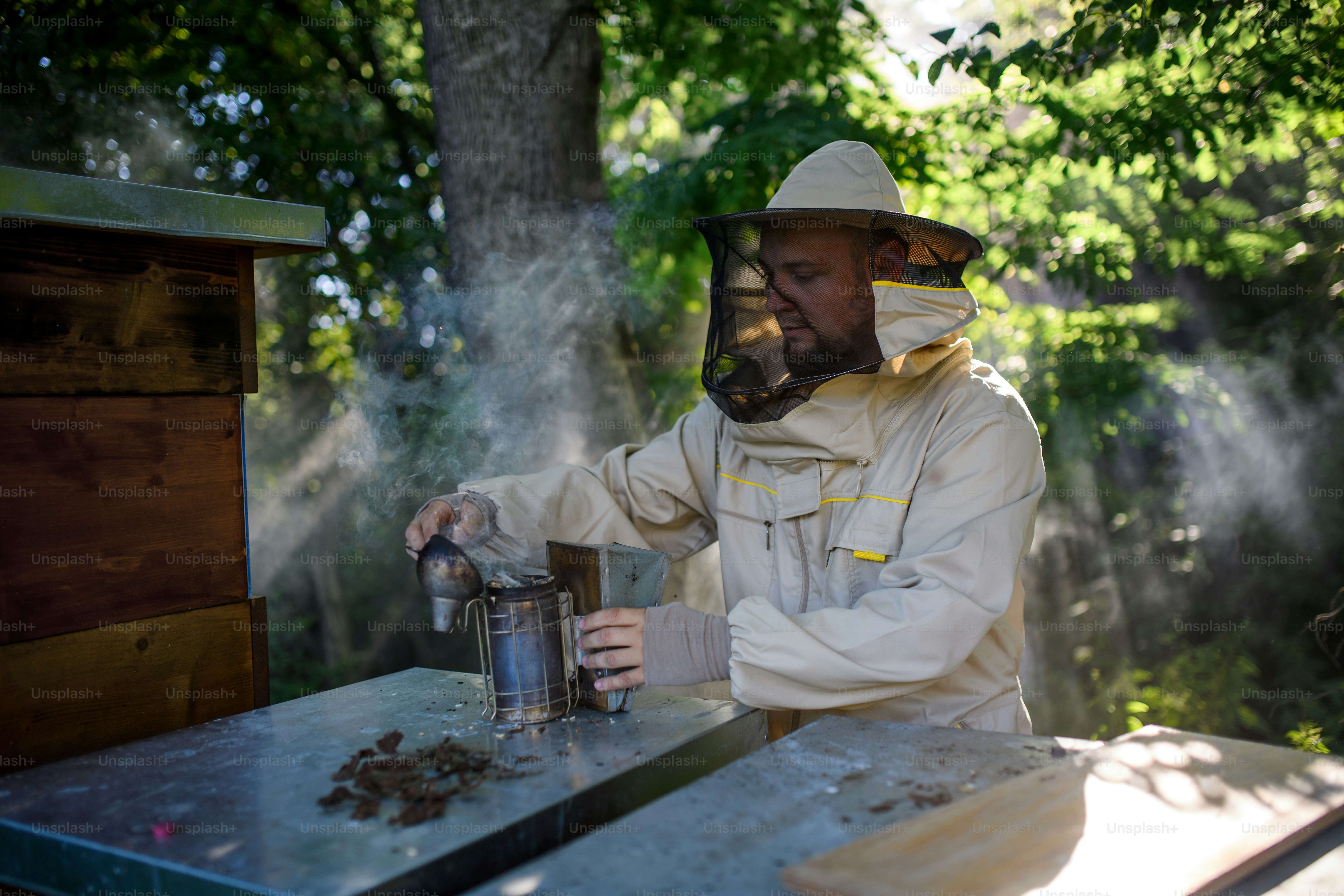 A portrait of man beekeeper working in apiary, using bee smoker. photo ...