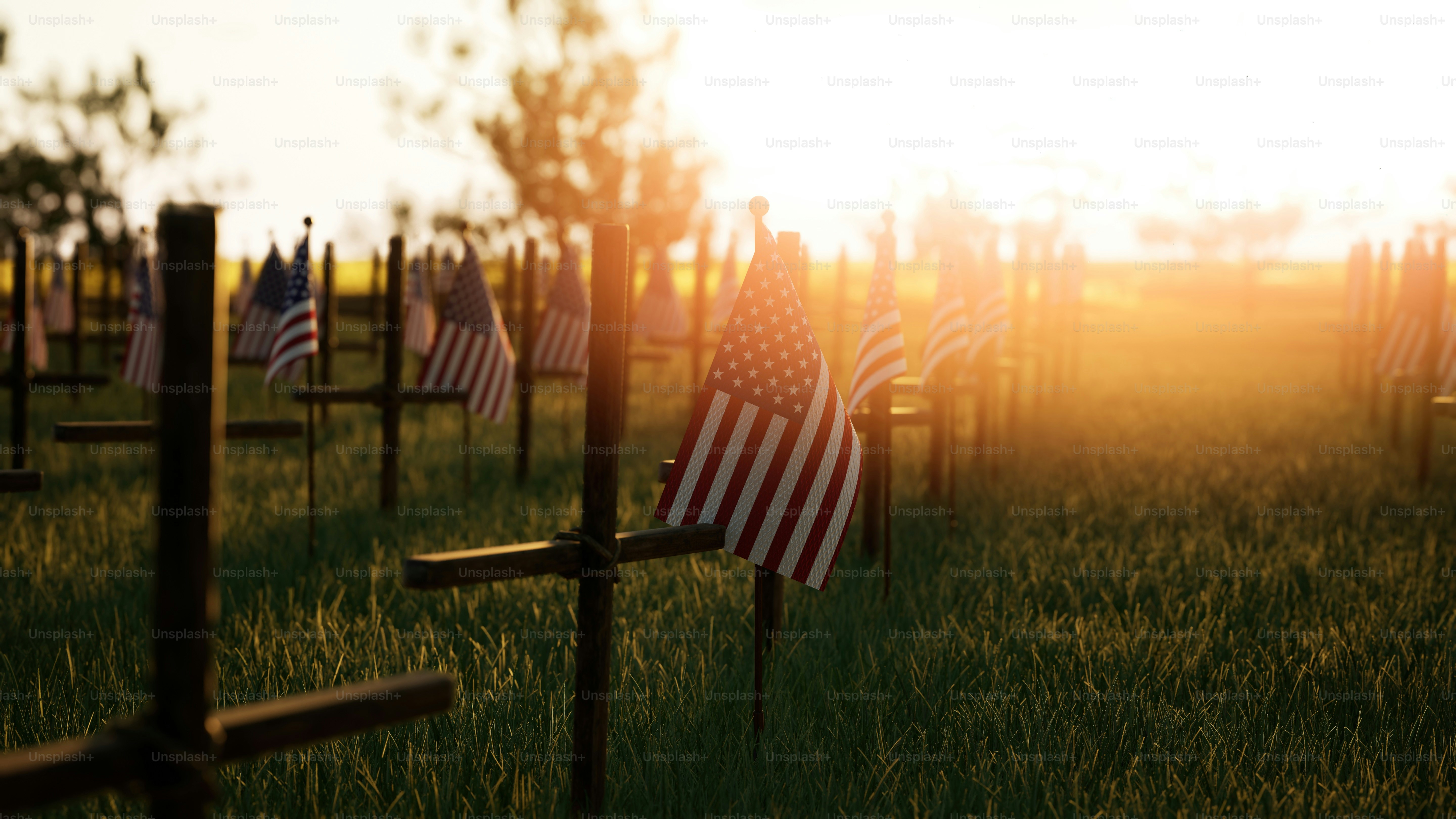 A field full of american flags with the sun in the background photo ...