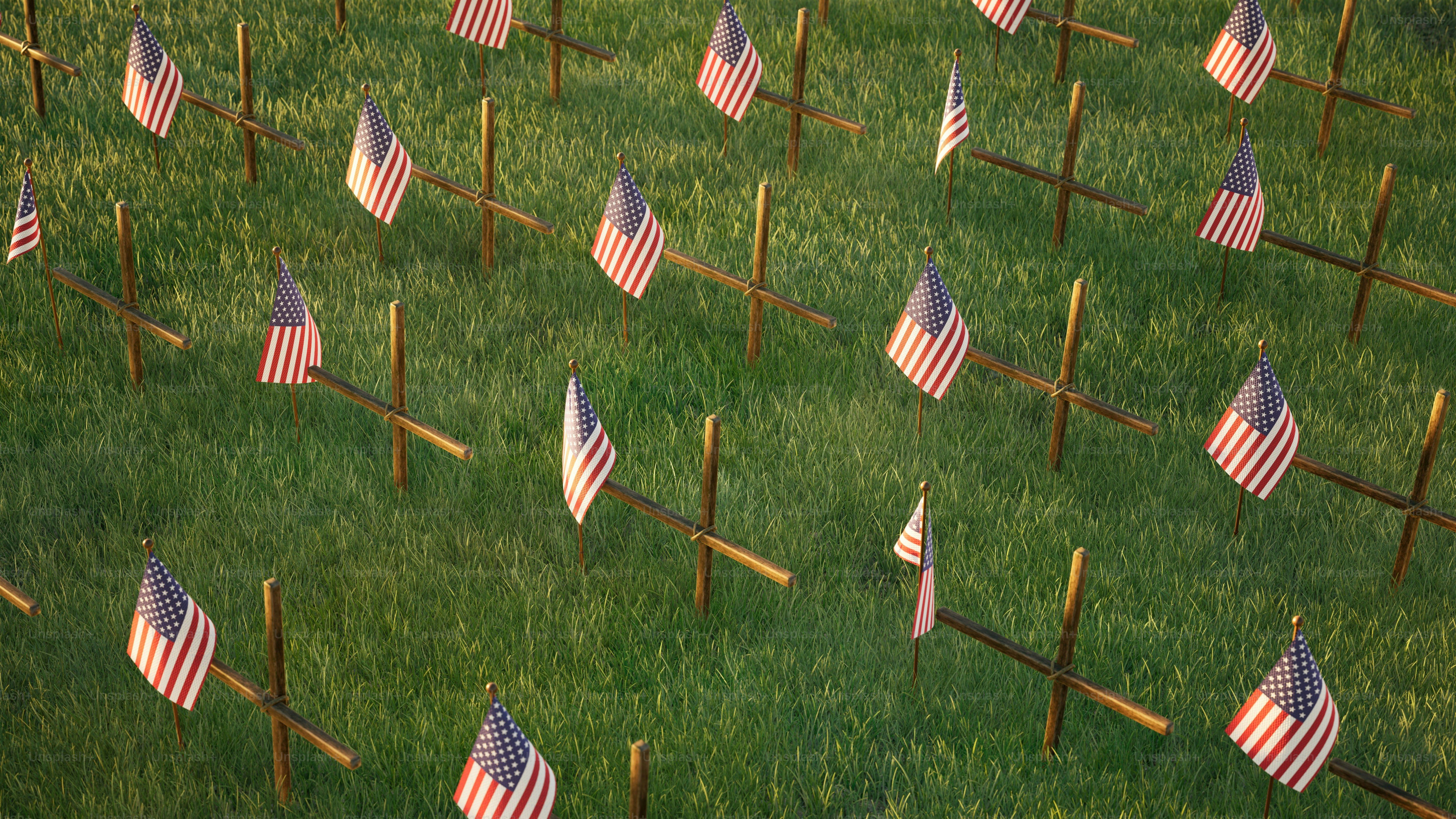 Many american flags are placed in a field photo – Memorial day Image on ...