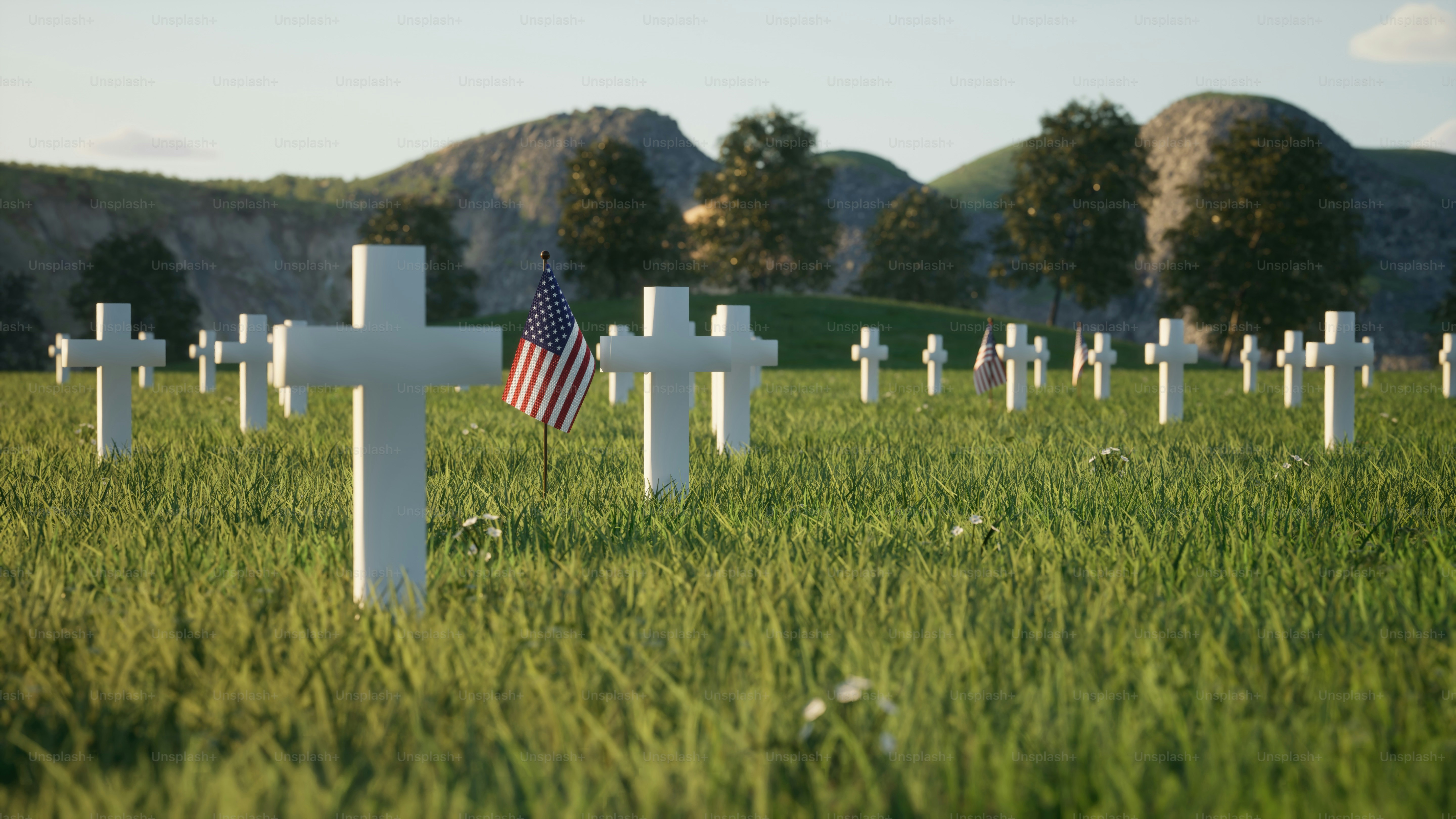 A grassy field with crosses and an american flag photo – Rest in peace ...