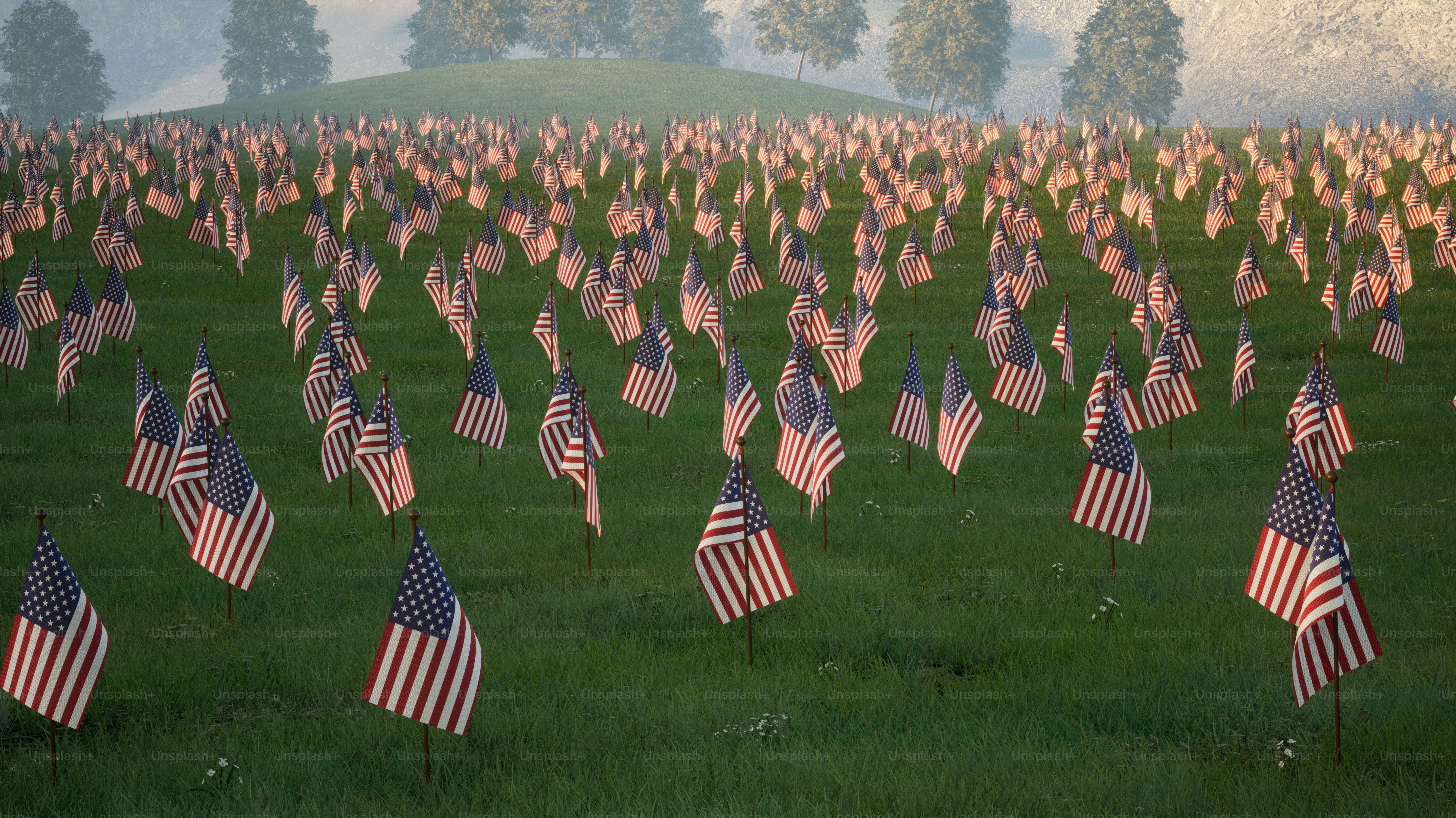 A field full of american flags with trees in the background photo ...