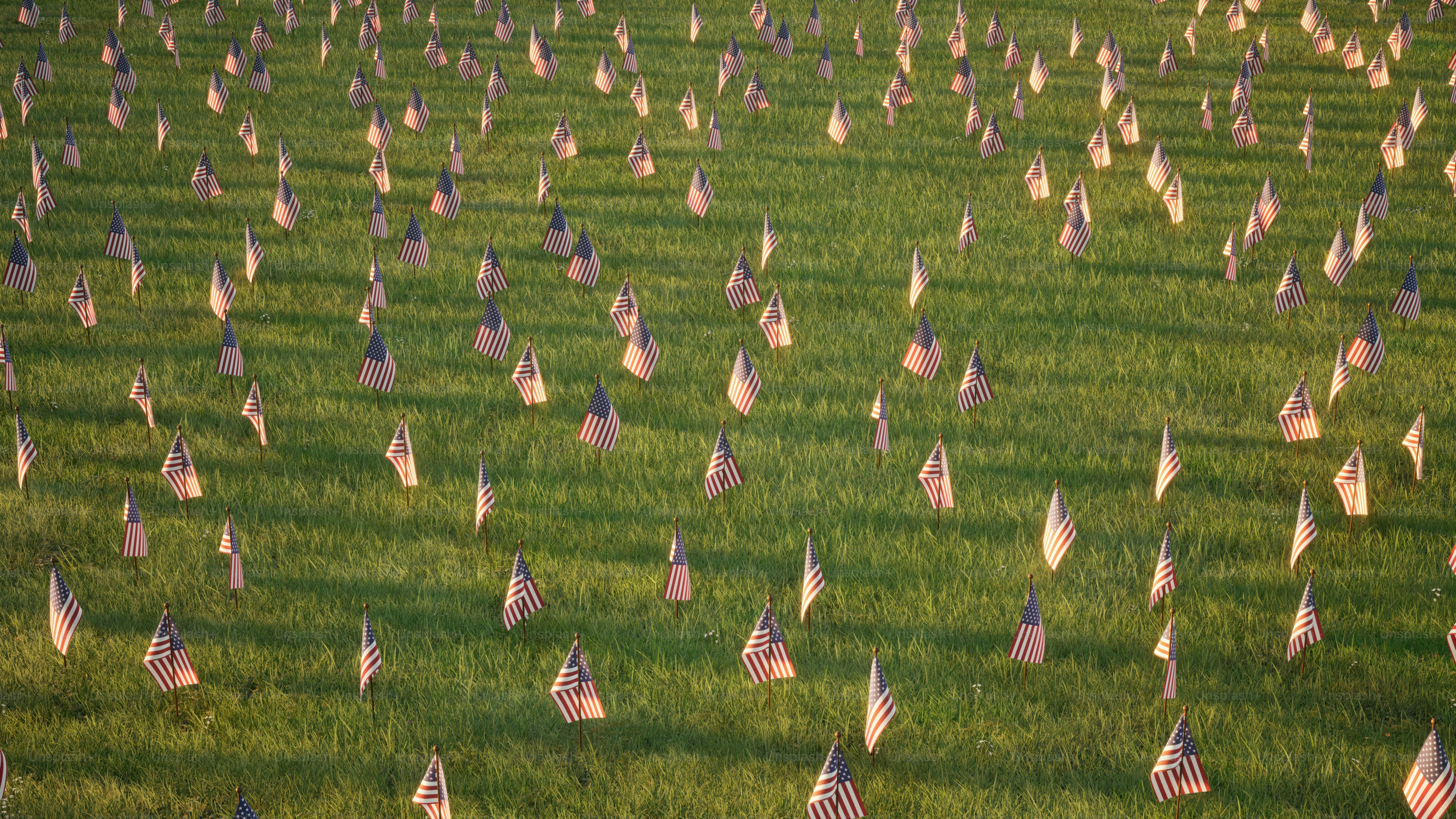 A field full of american flags with trees in the background photo ...