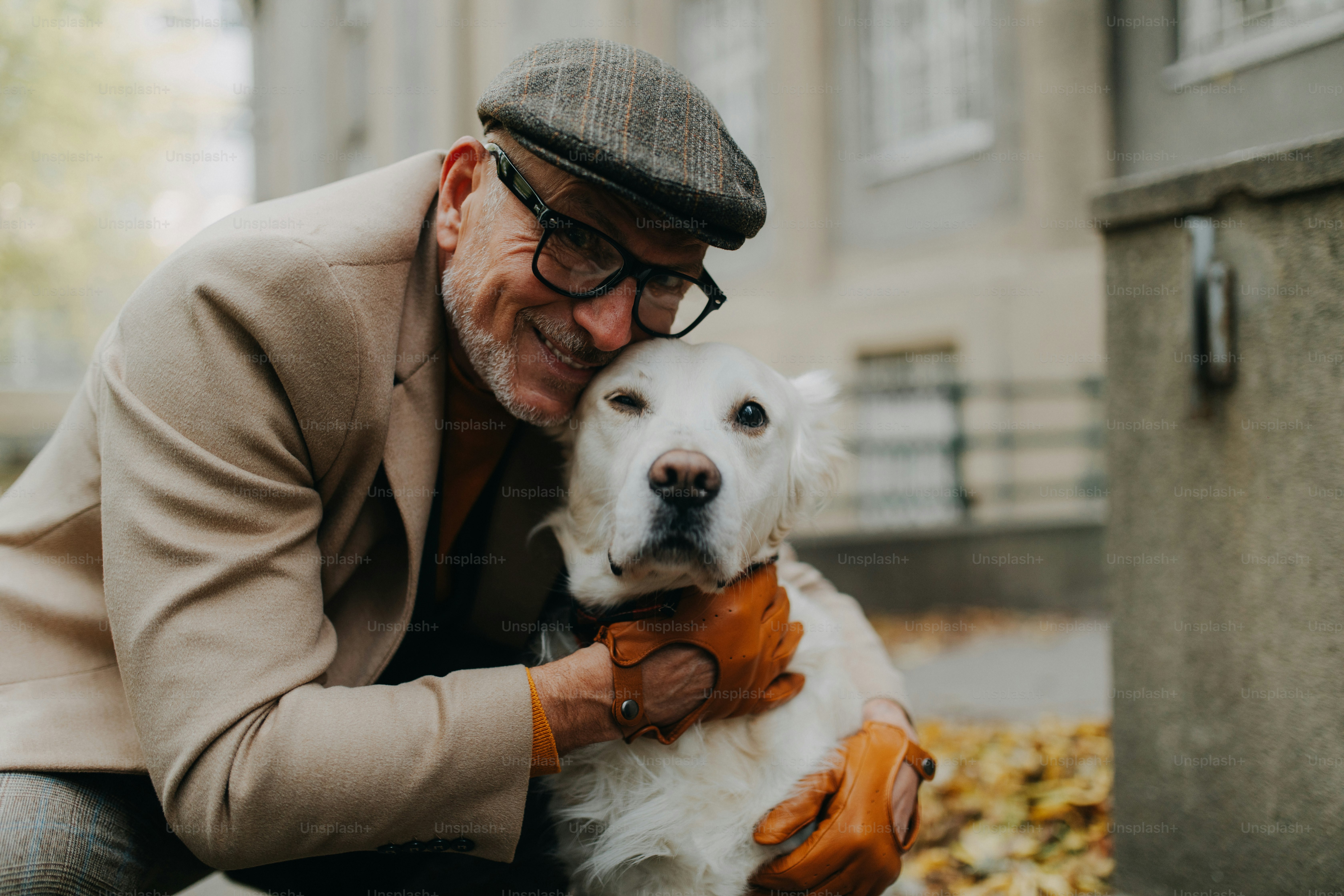 A happy senior man sitting on bench and reading newspaper during dog ...