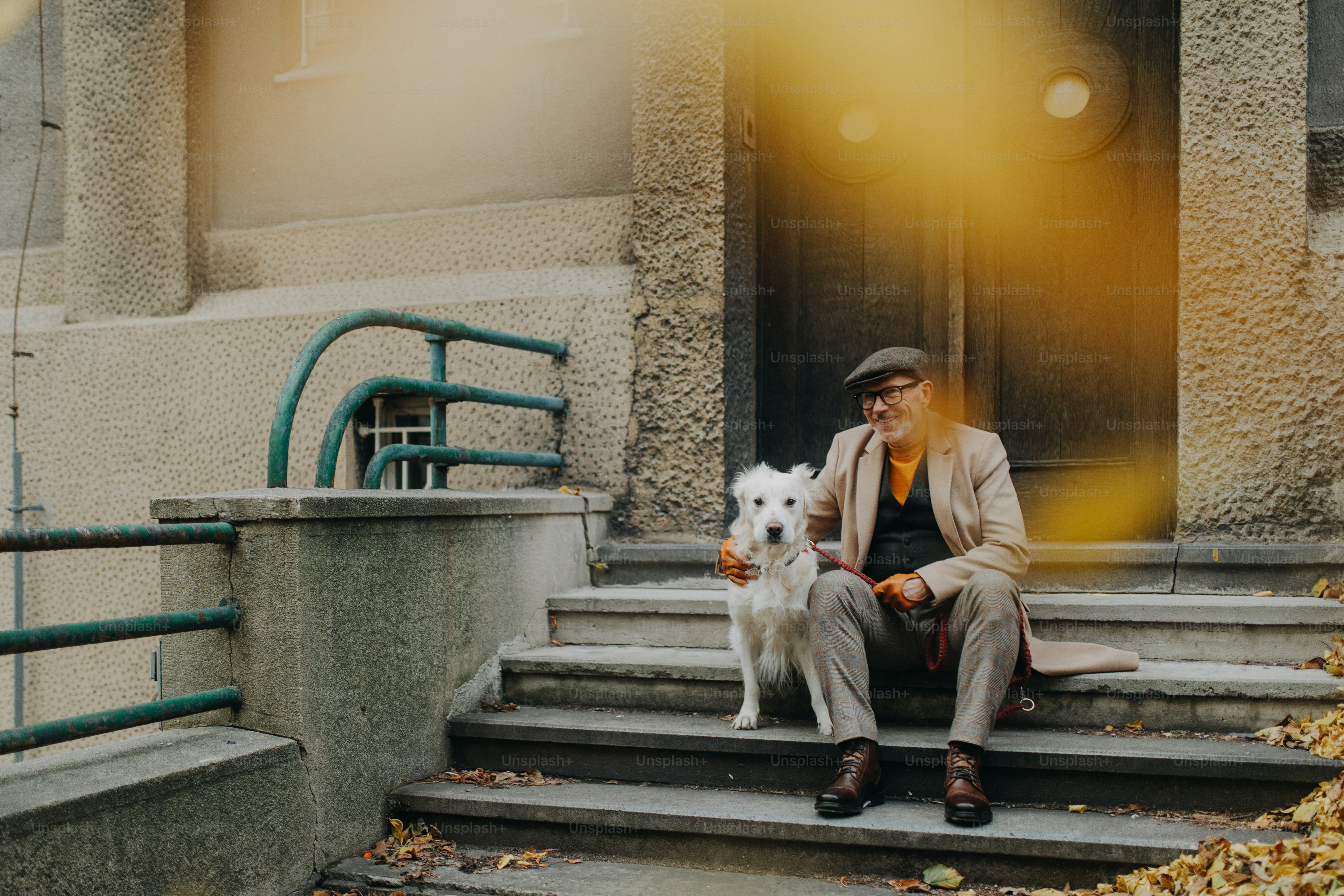 A happy senior man sitting on bench and reading newspaper during dog ...