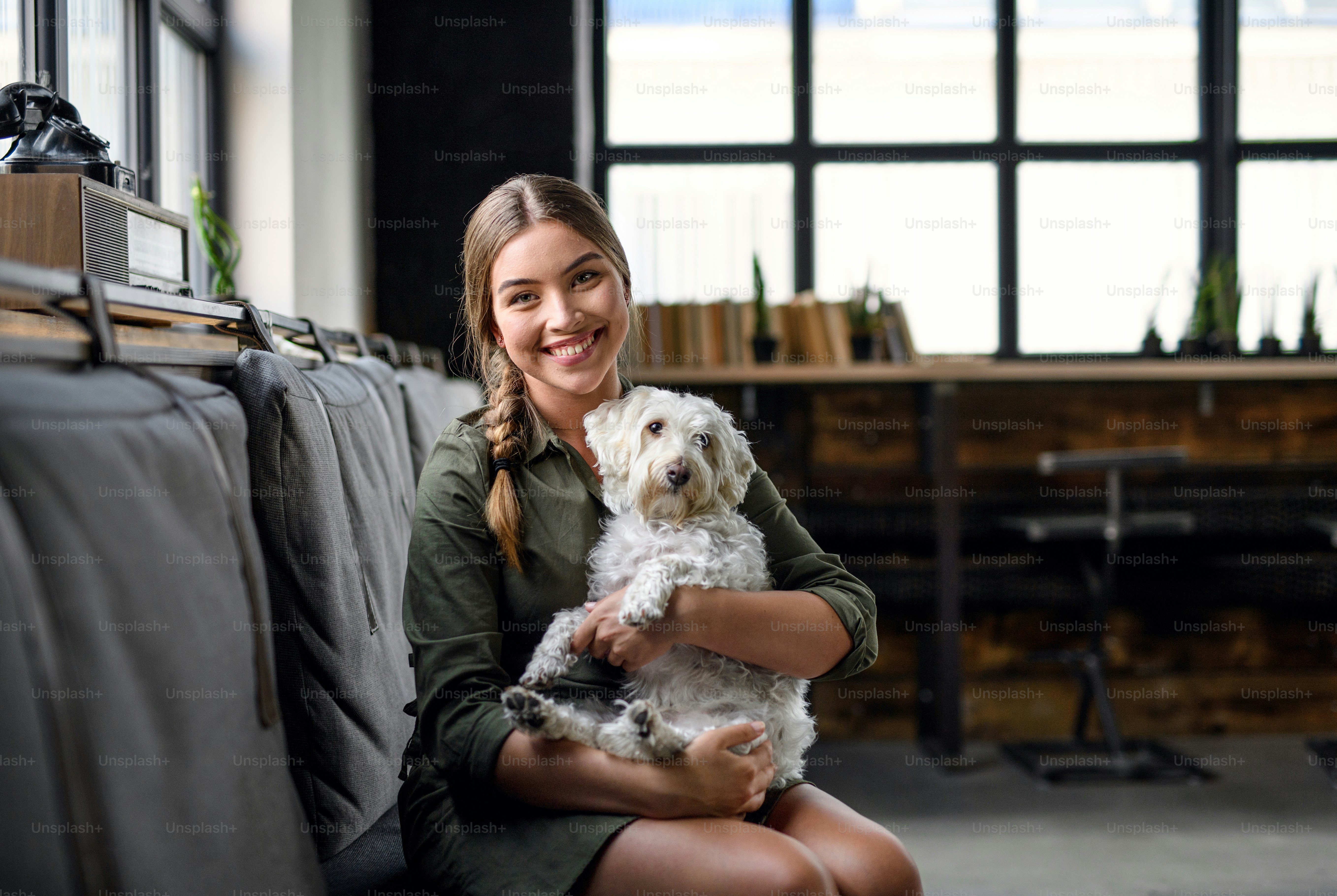 Portrait of young business woman with dog sitting indoors in office ...