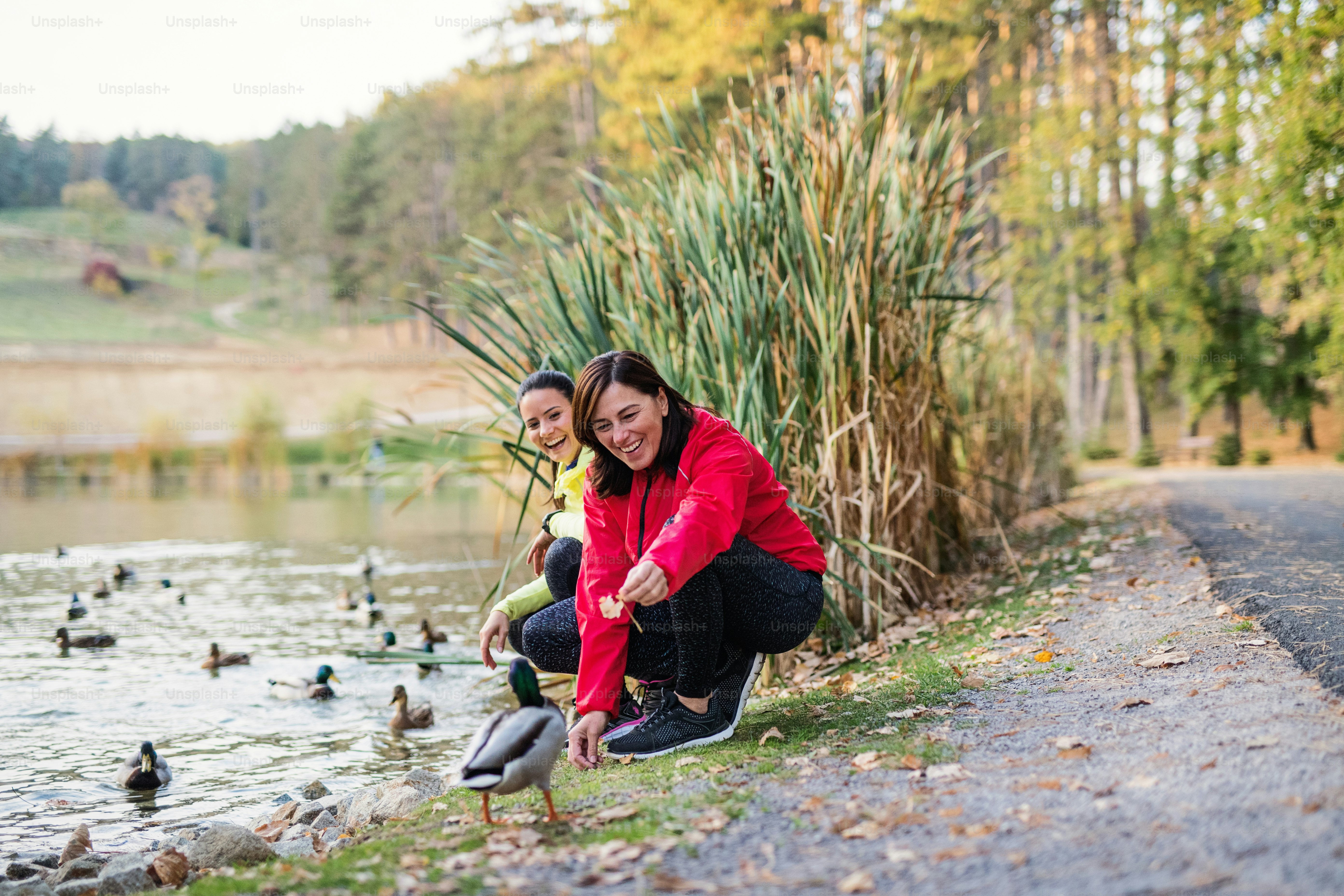 Two female runners by the lake outdoors in park in nature, feeding ...