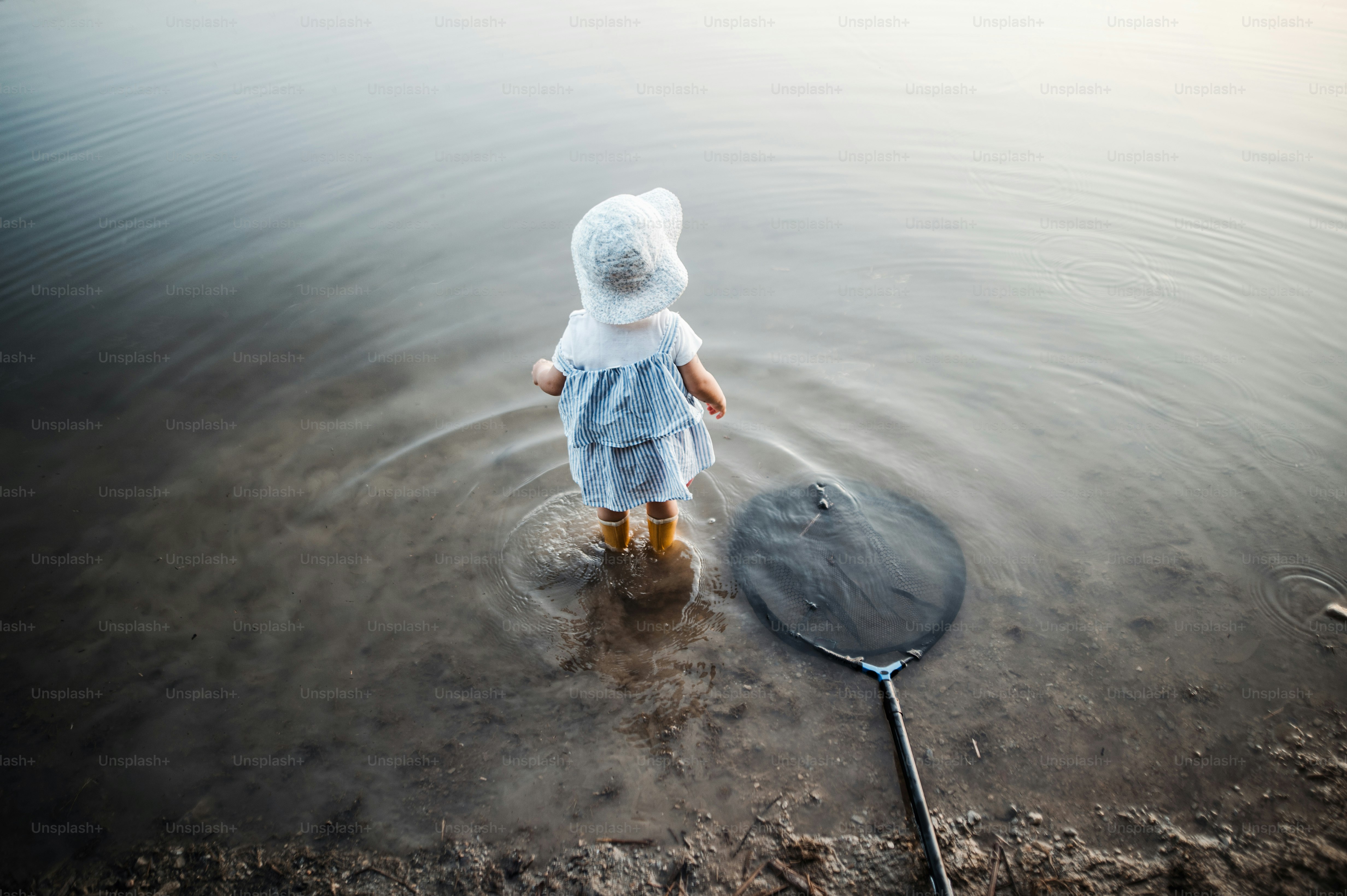 A rear and high-angle view of small toddler girl standing in water in a ...