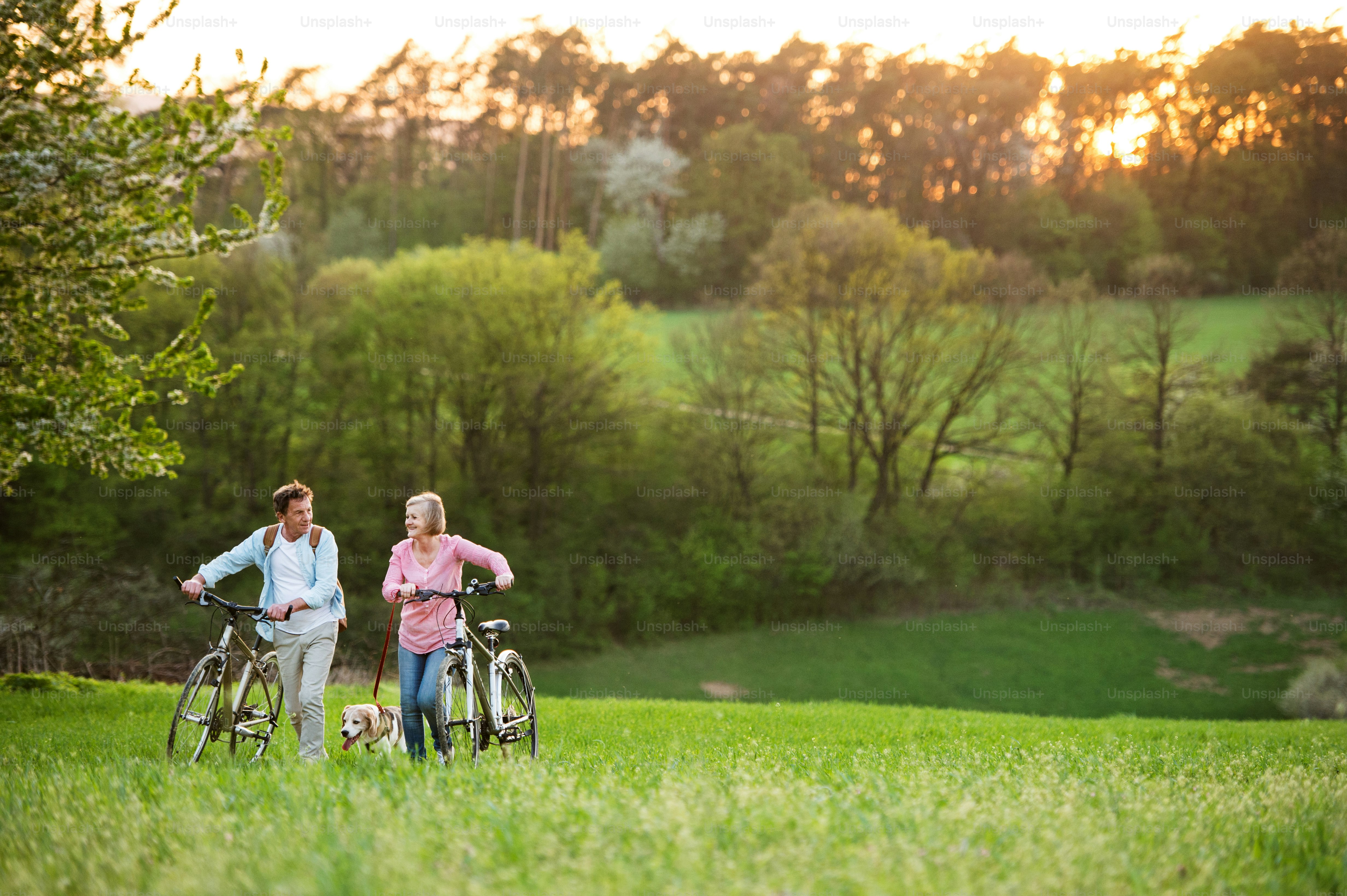 Beautiful senior couple outside in spring nature, walking with a dog ...