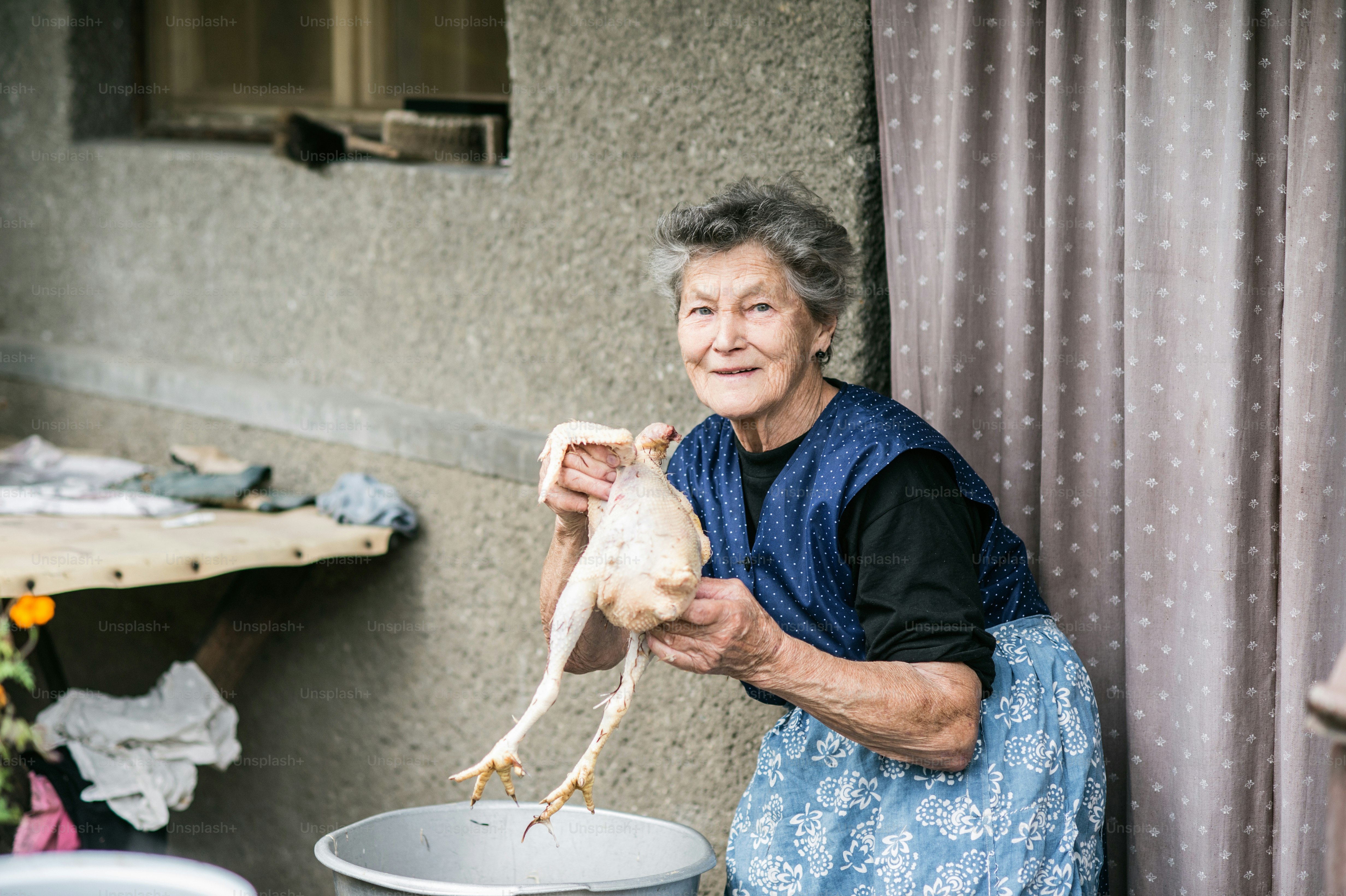 Senior woman cleaning and washing freshly slaughtered chicken outside ...