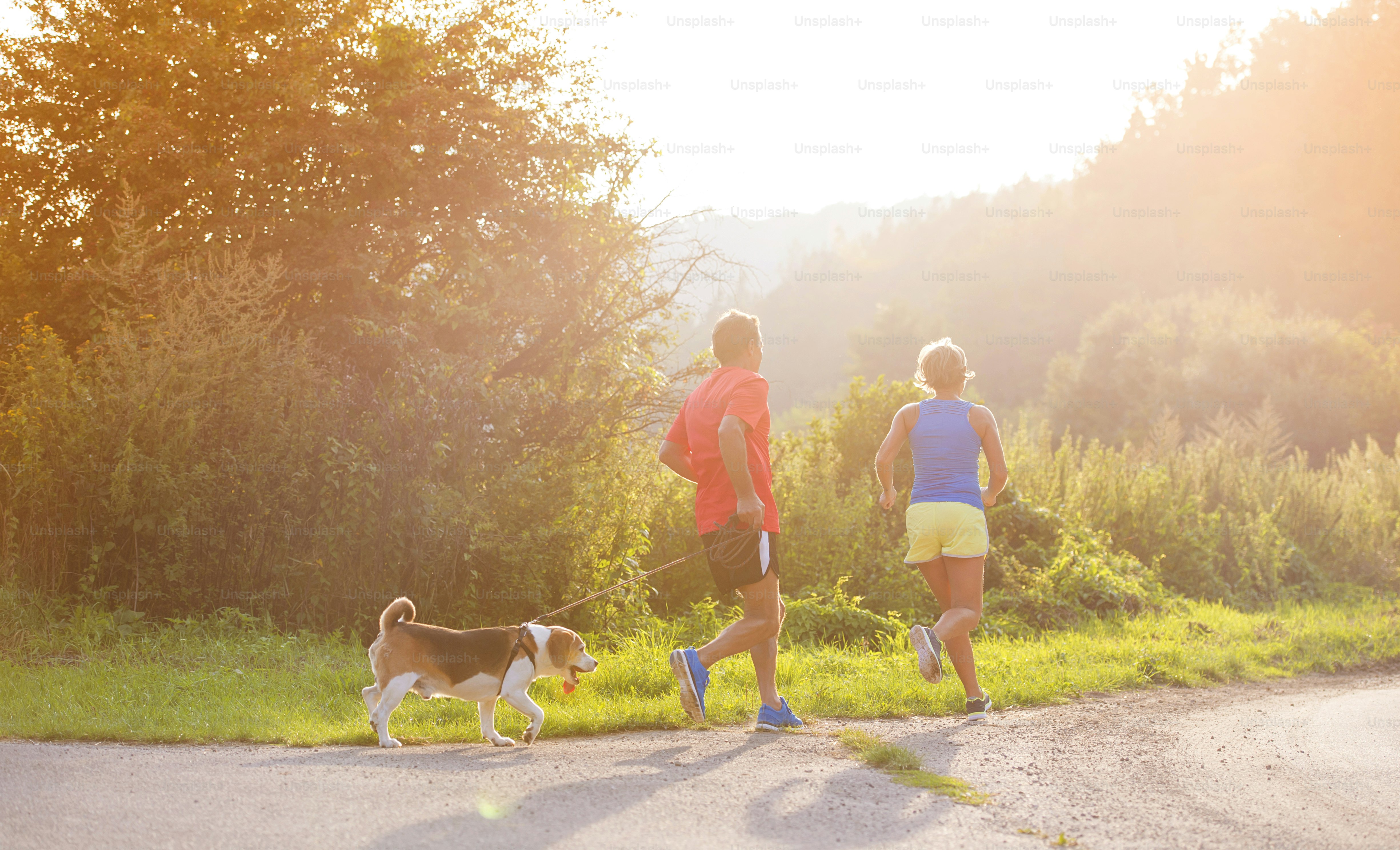 Active seniors running with their dog outside in green nature photo ...