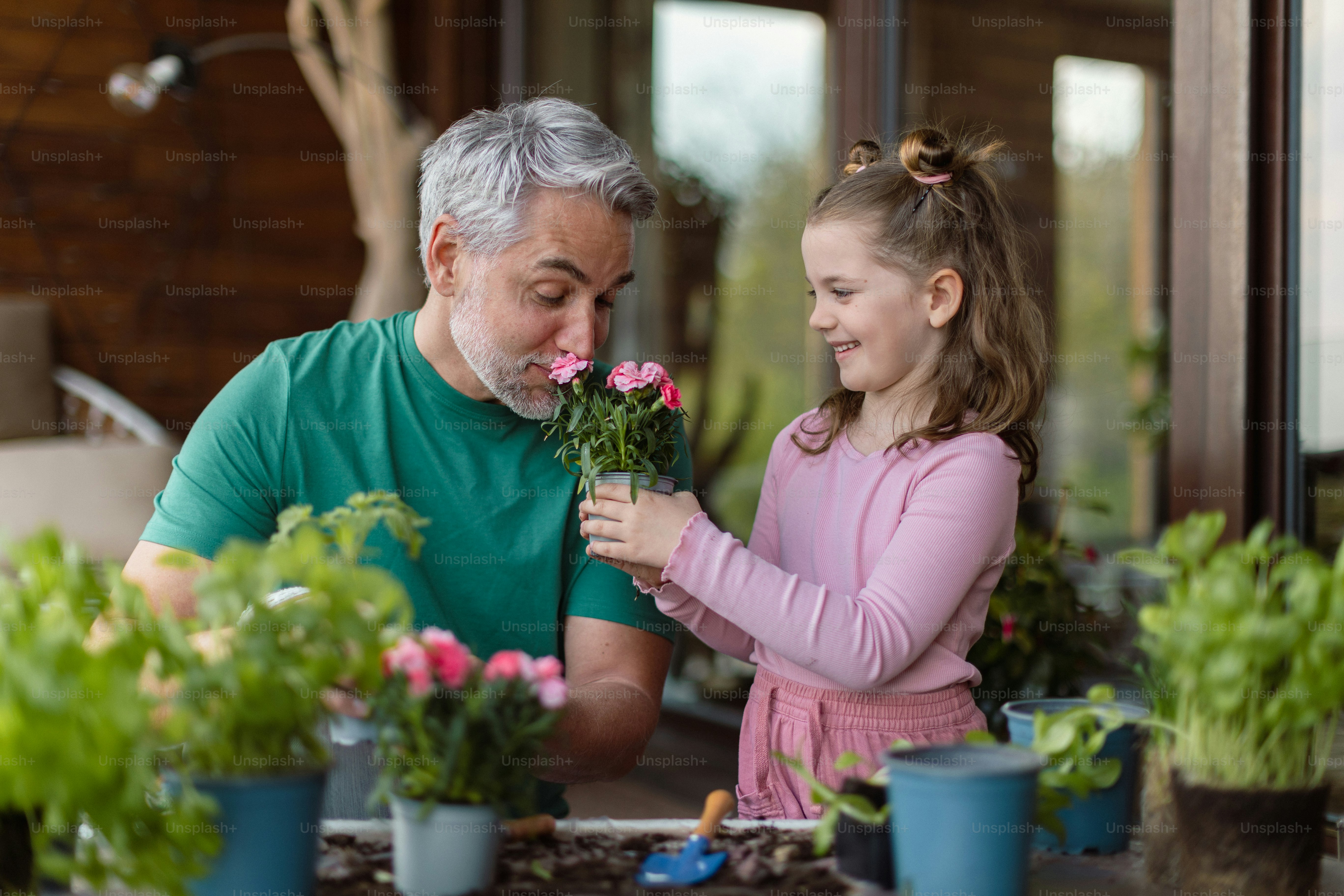 A little daughter helping father to plant flowers, home gardening ...