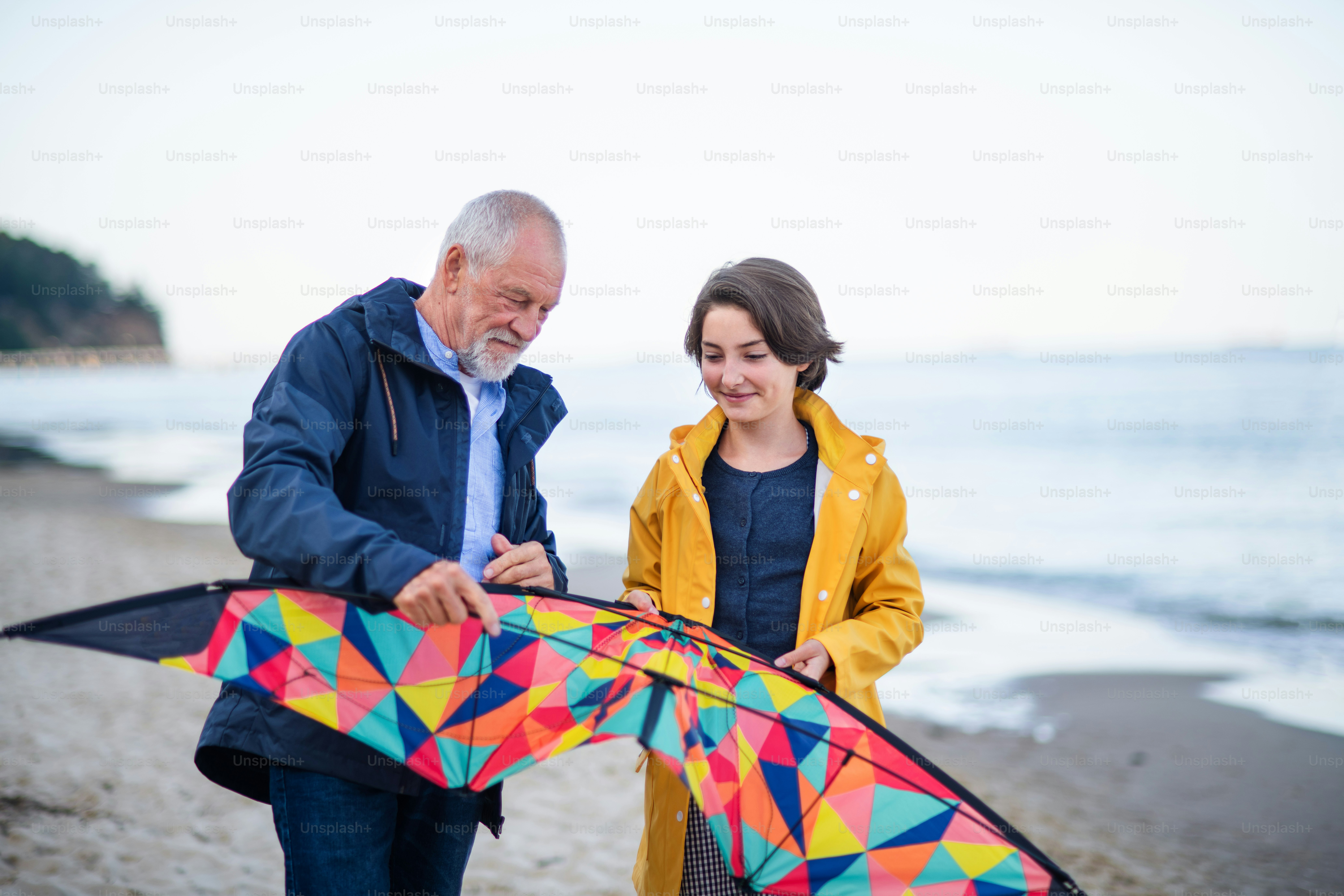 A senior man and his preteen granddaughter preparing kite for flying on ...