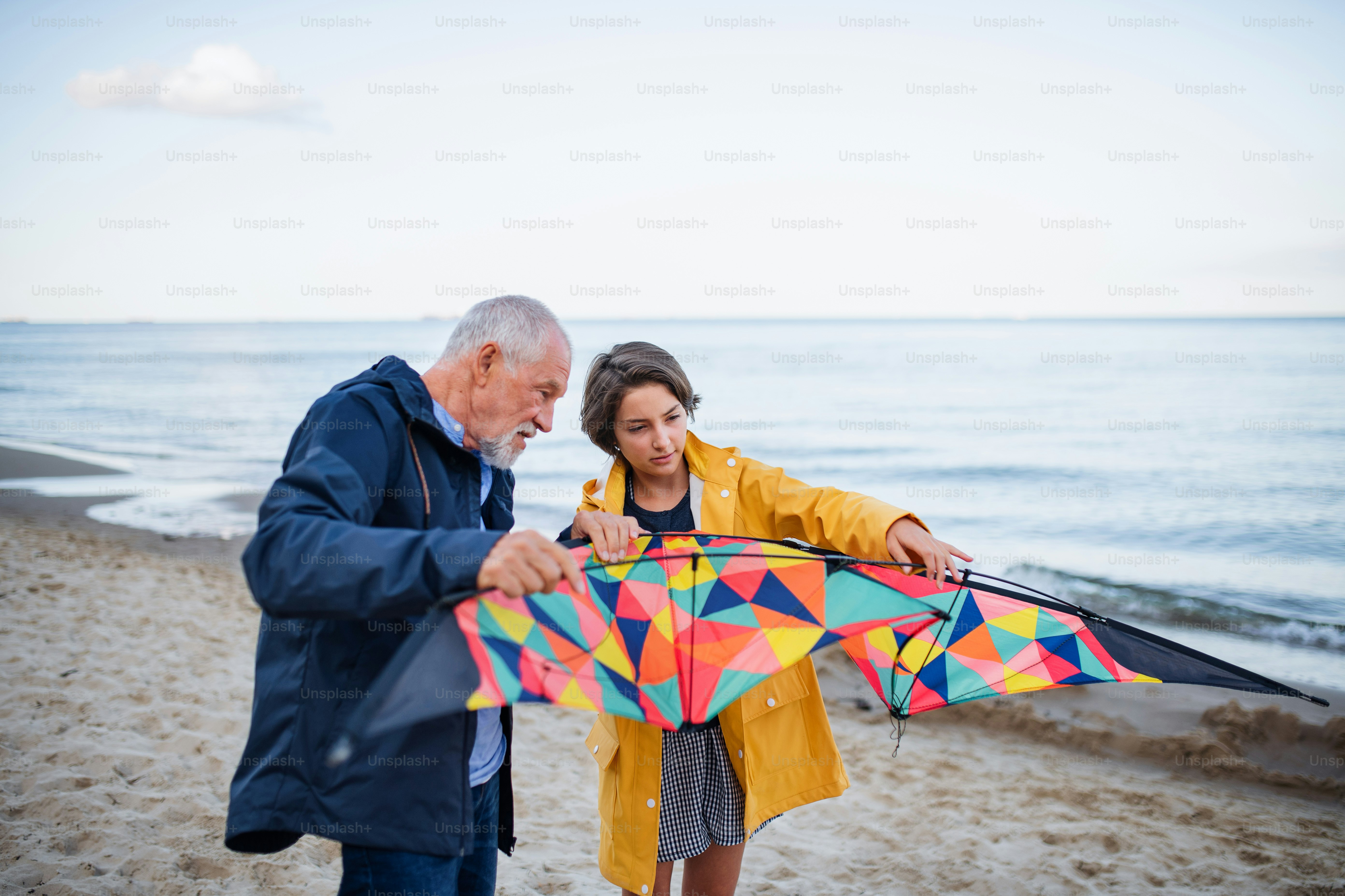 A senior man and his preteen granddaughter preparing kite for flying on ...