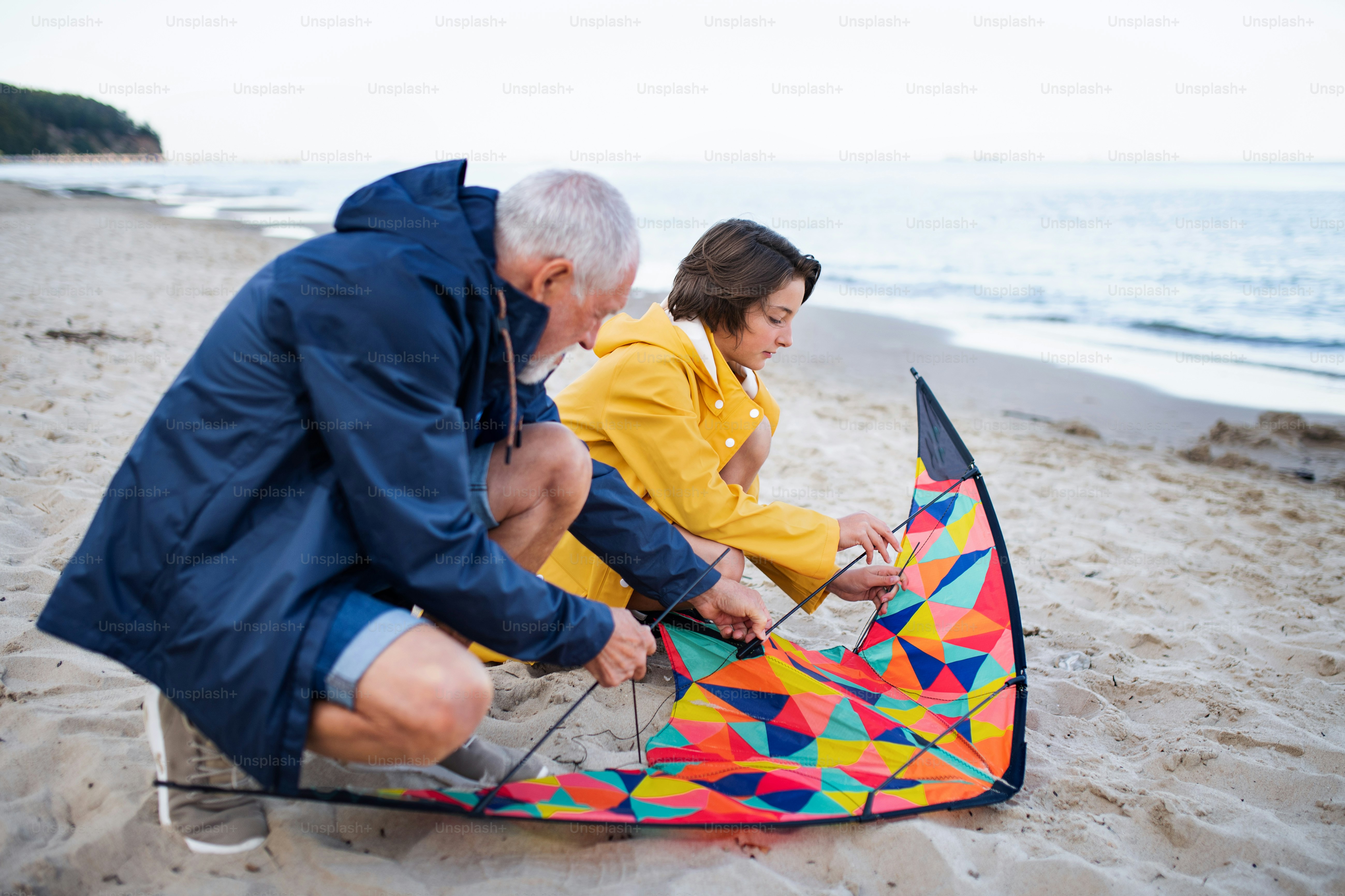 A senior man and his preteen granddaughter preparing kite for flying on ...