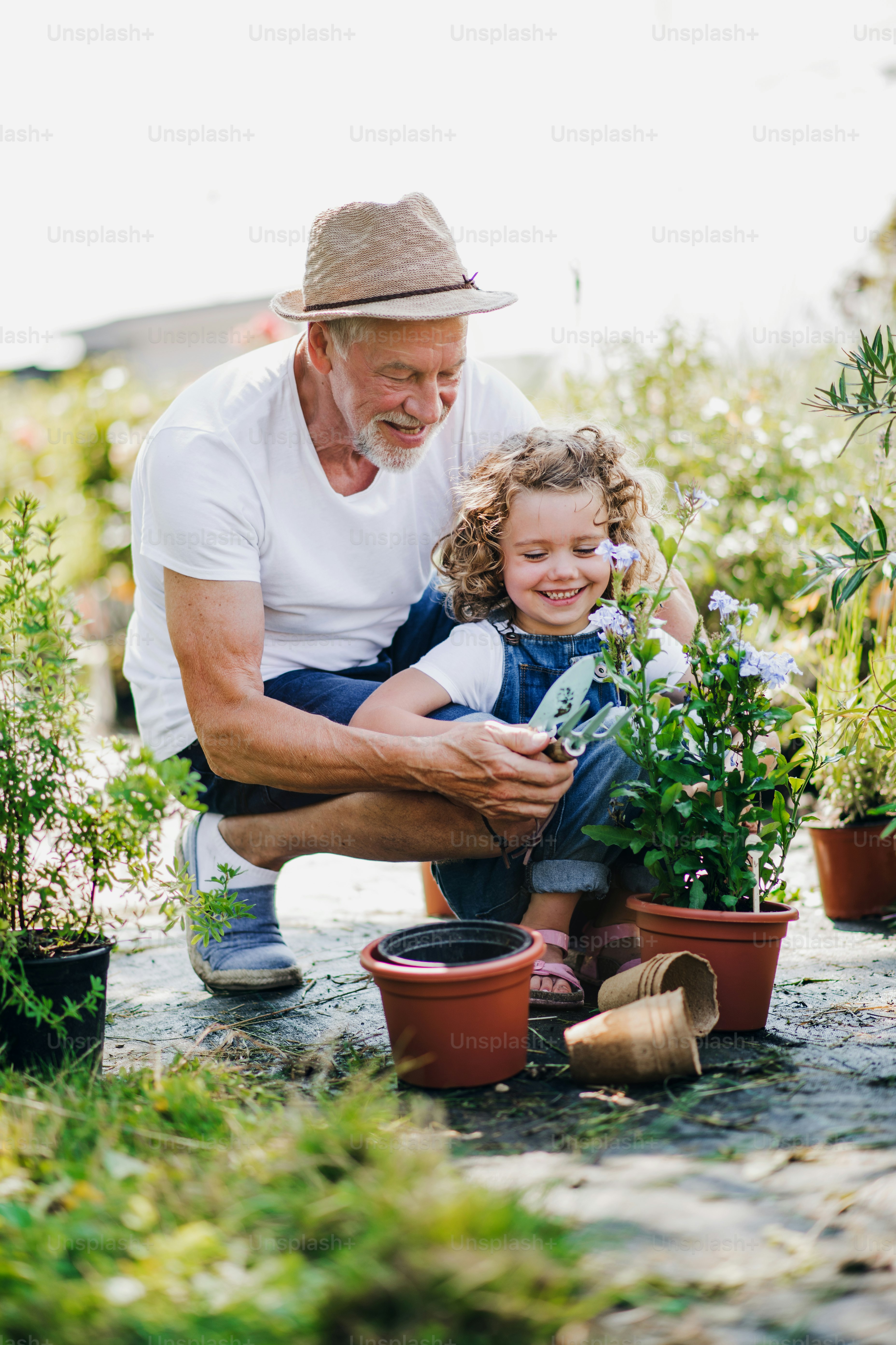 A small girl with senior grandfather in the backyard garden, gardening ...