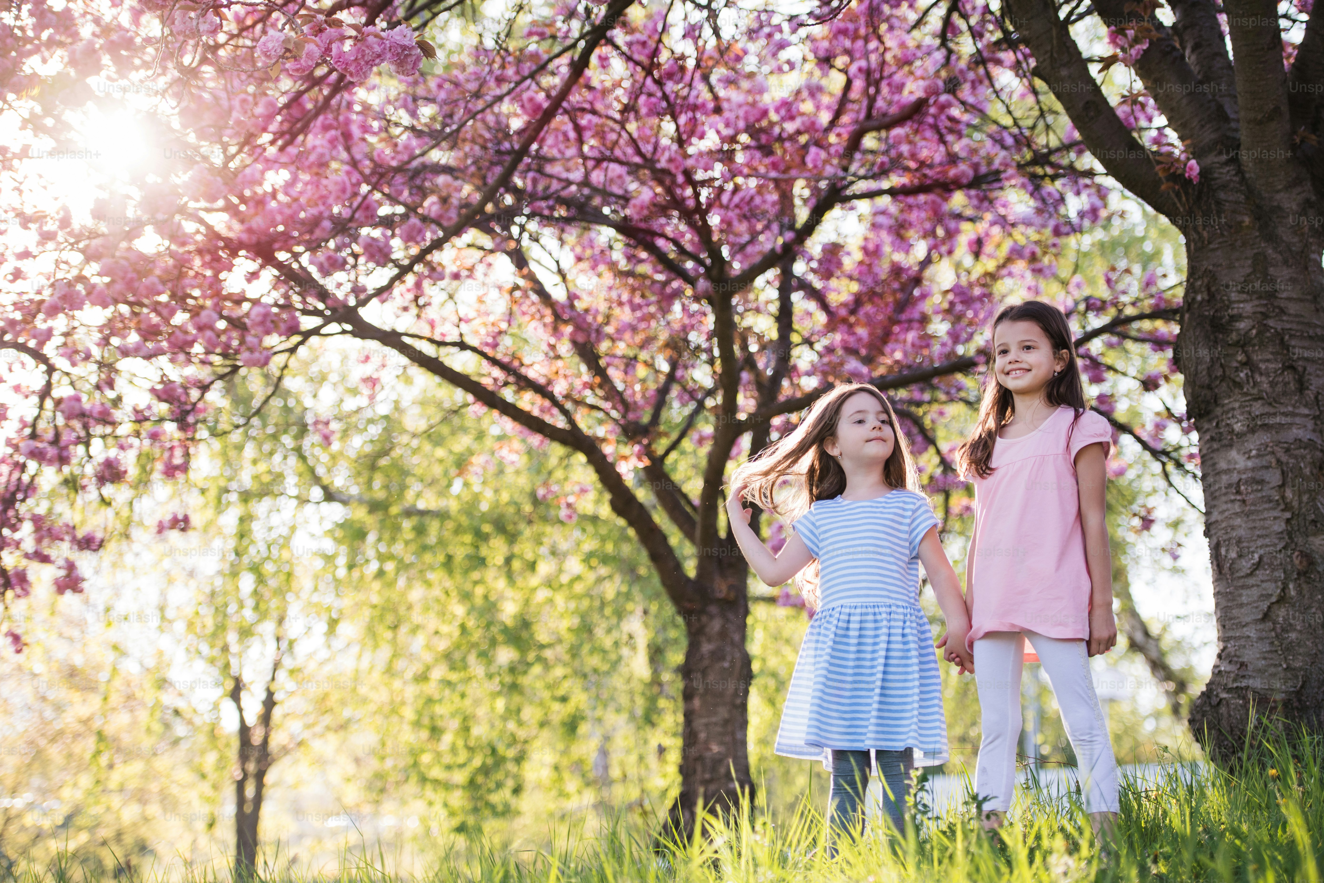 Two small girls standing outside in spring nature, talking. Copy space ...