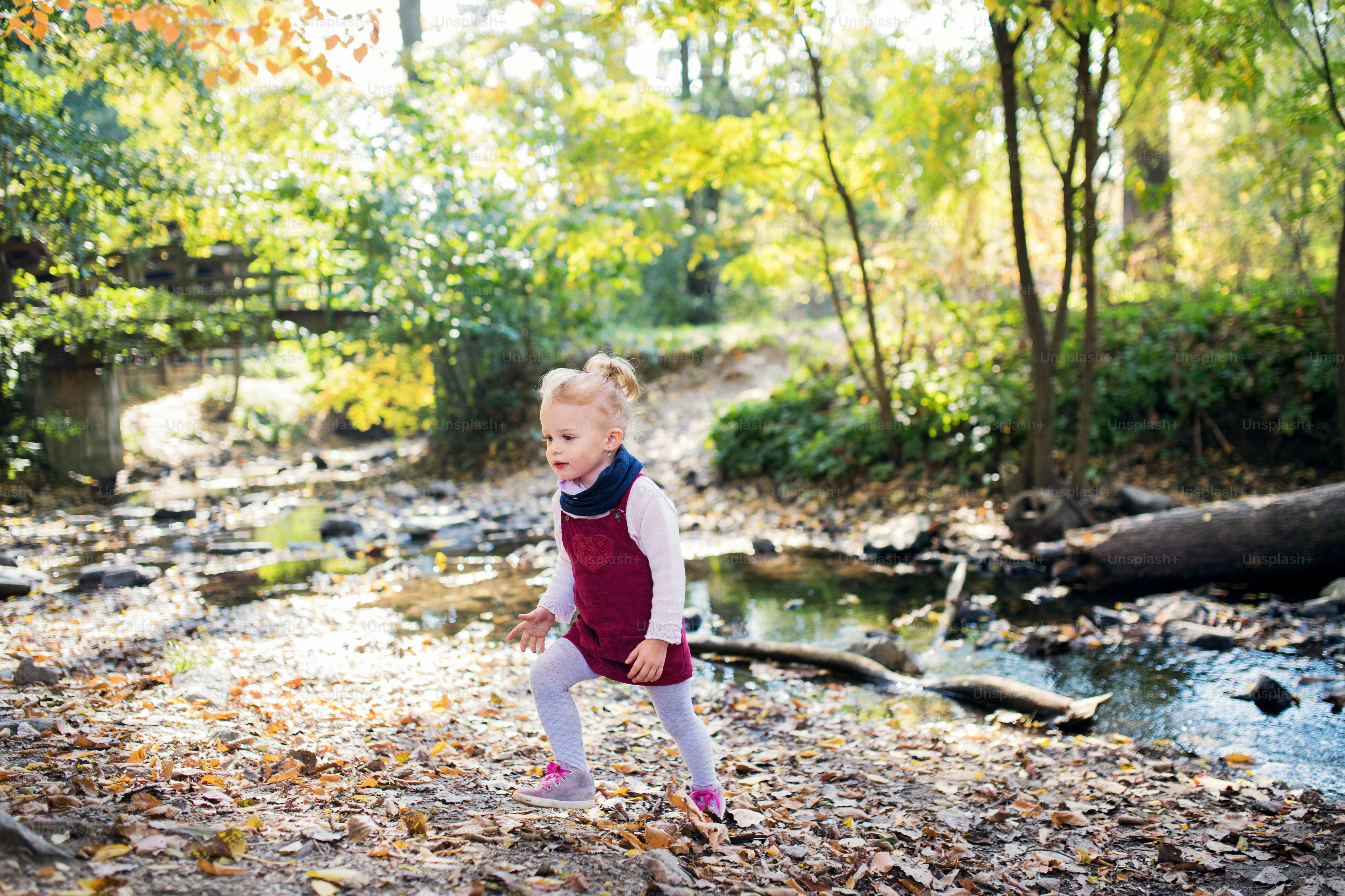 Front view portrait of a small toddler girl walking by stream in autumn ...