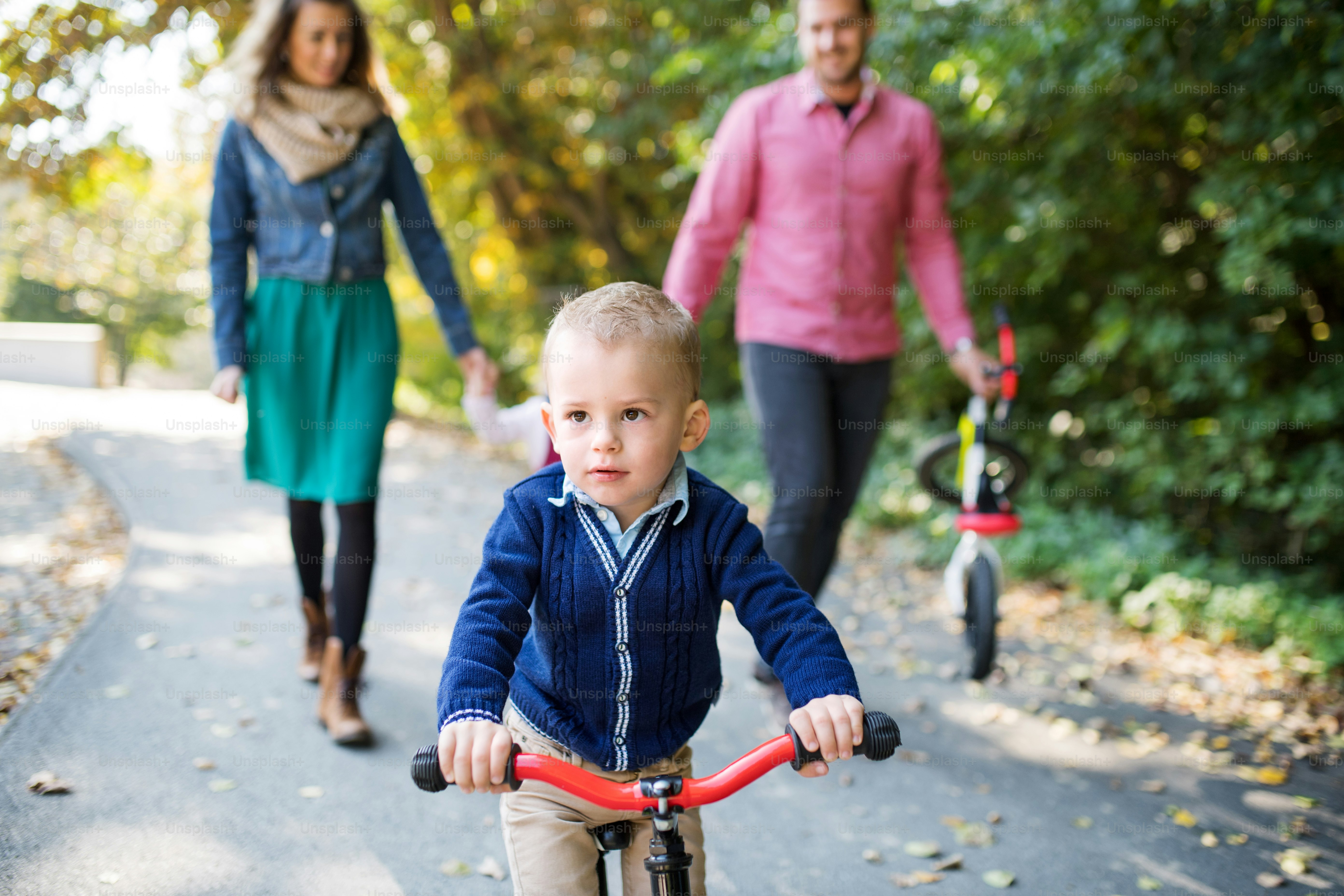 A beautiful young family with small twins on a walk in autumn forest ...
