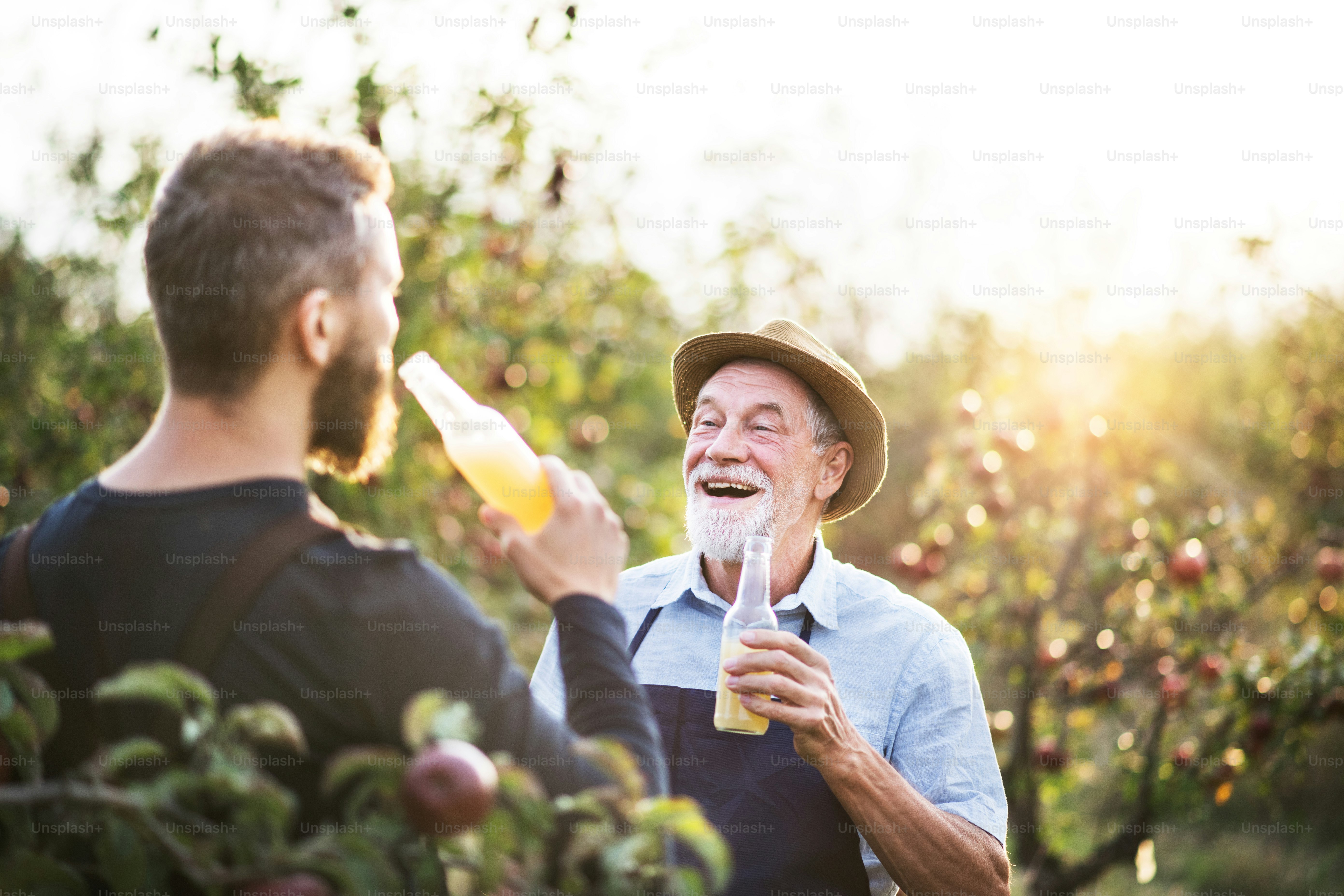 A senior man with adult son holding bottles with cider in apple orchard ...