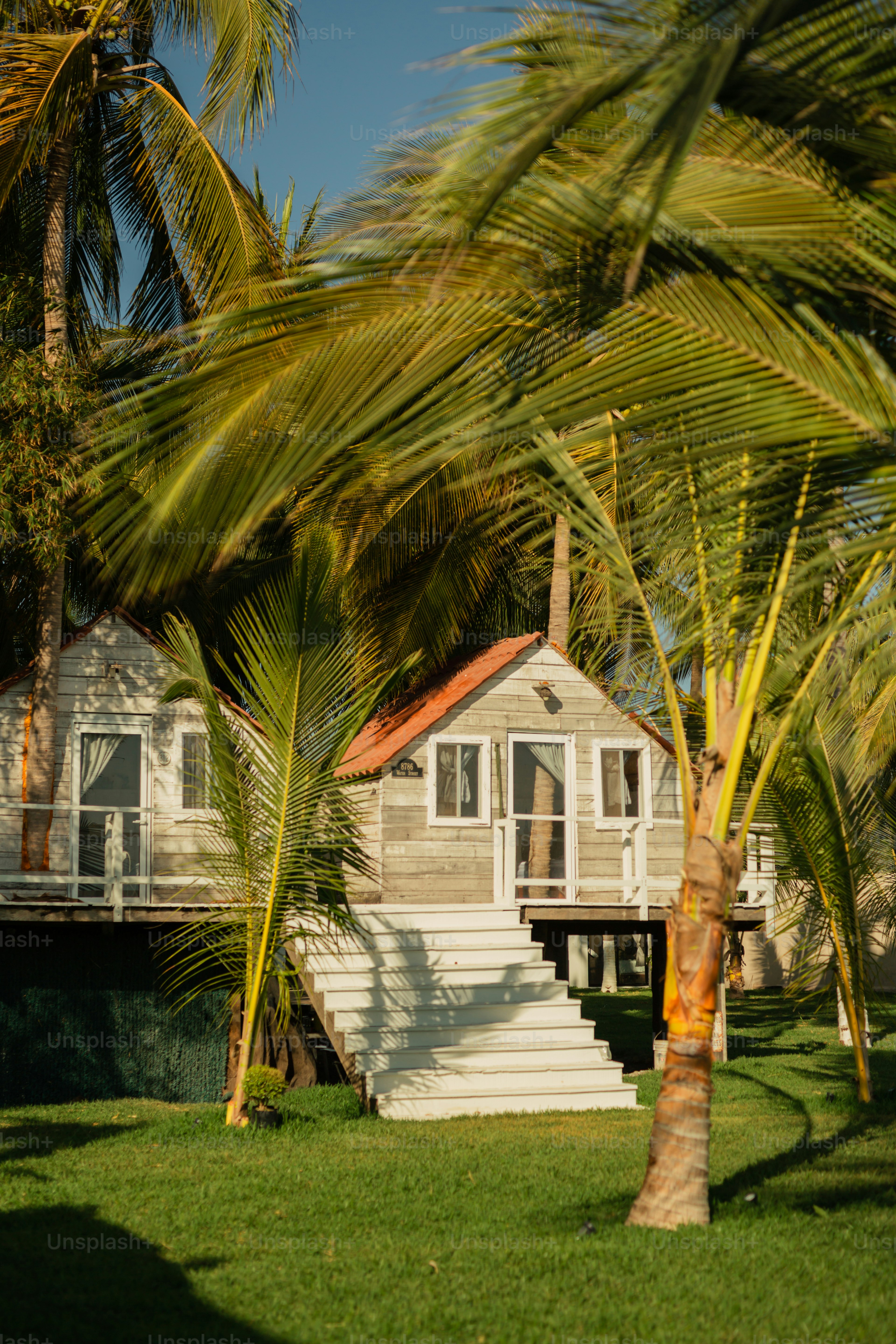 A house with a palm tree in front of it photo – Luxury Image on Unsplash