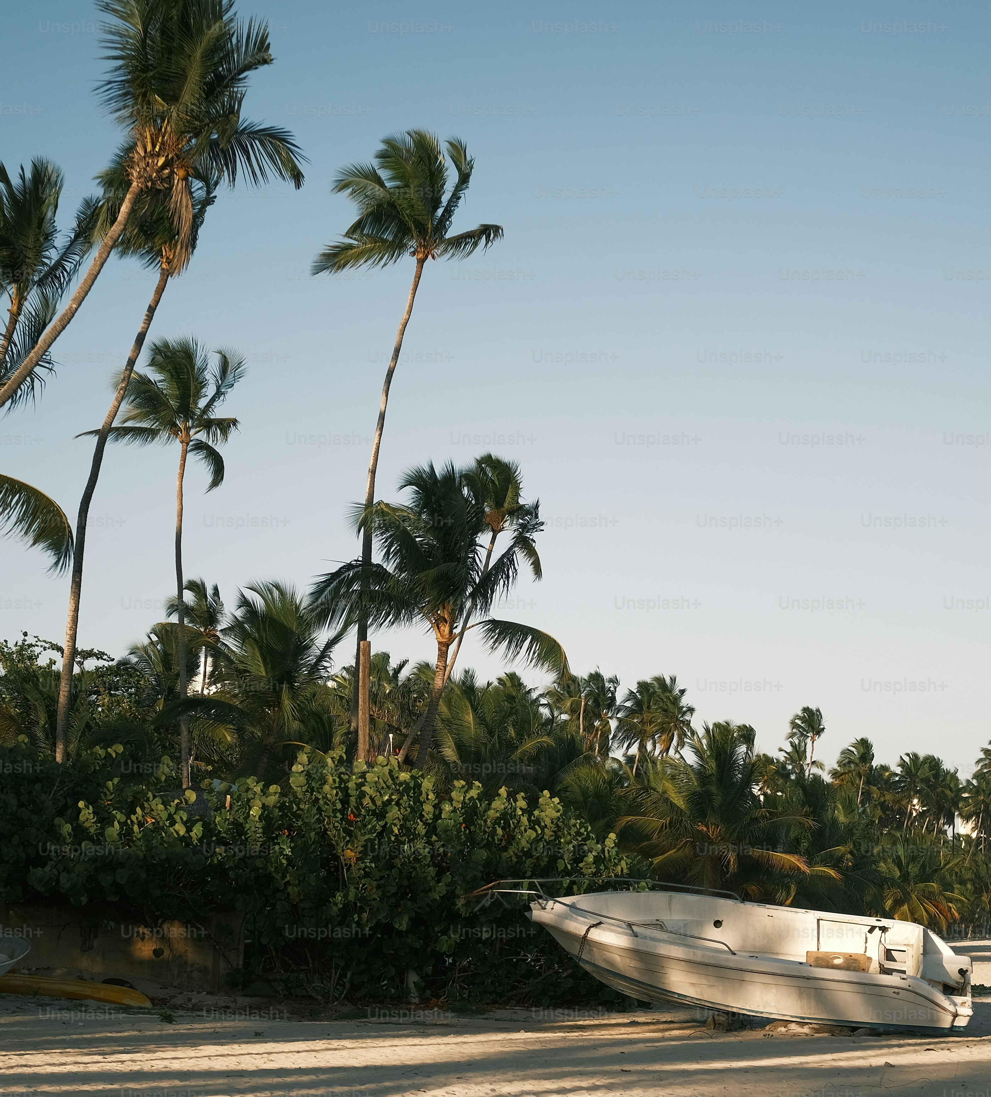 Beautiful Free Images & Pictures | Unsplash