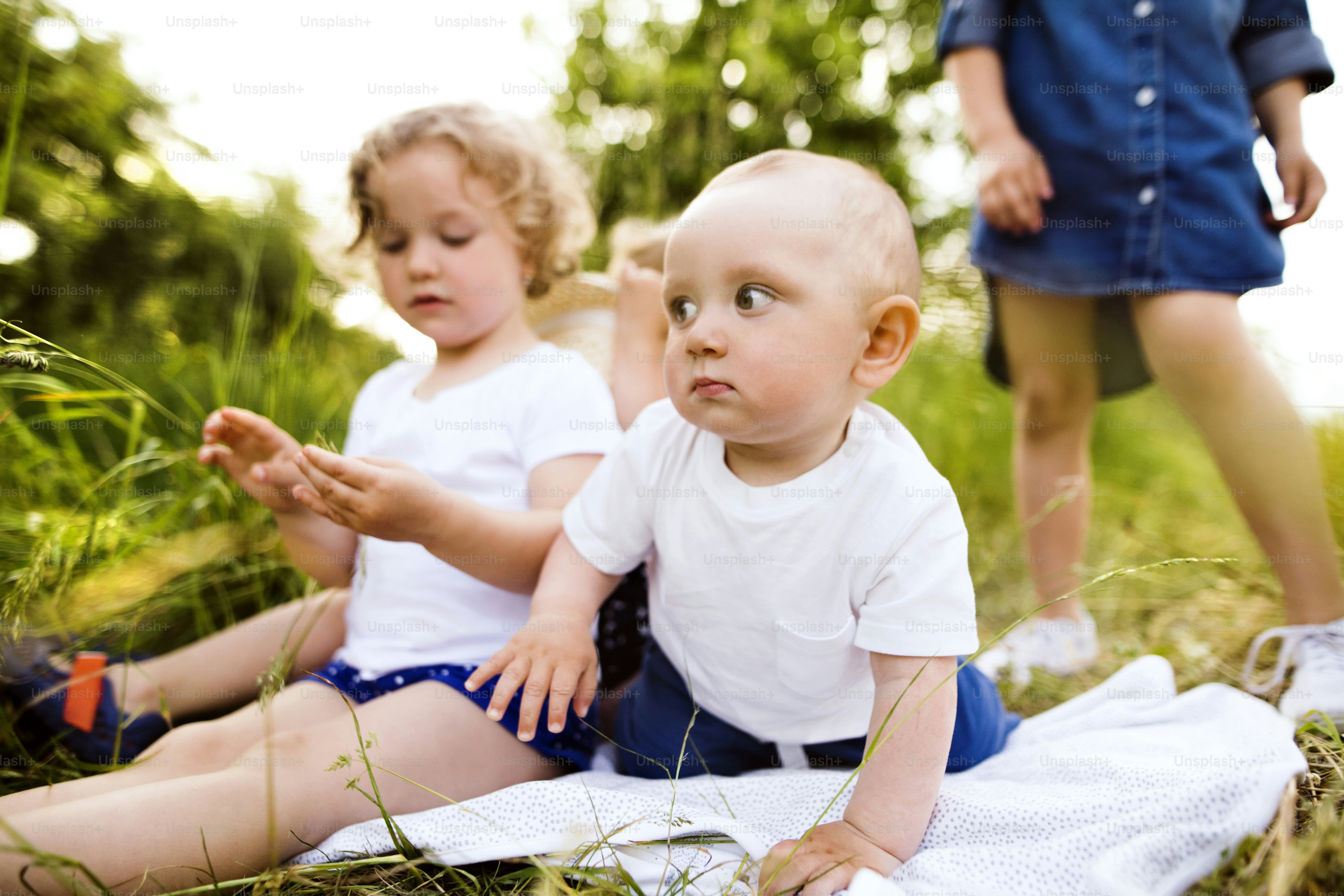 Cute little children playing together outside in in green sunny summer ...