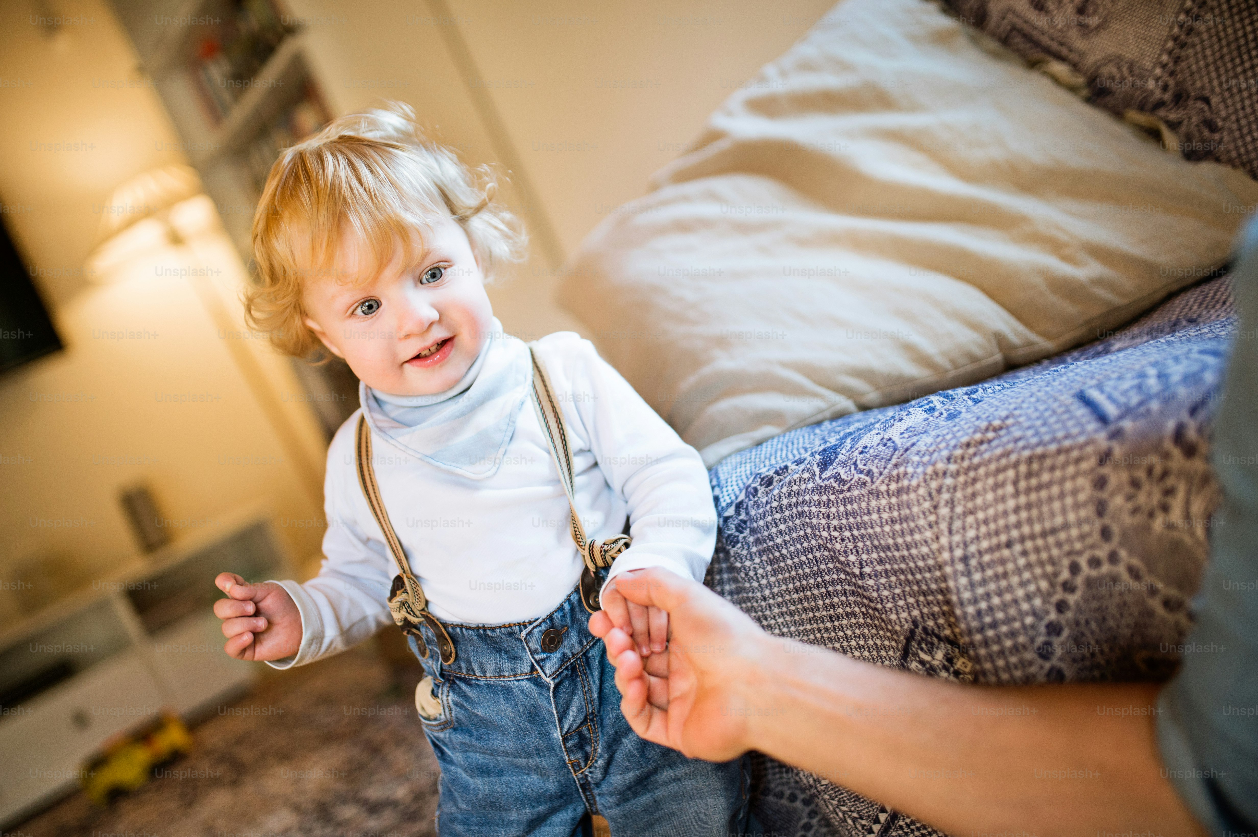 Lethargic Pictures | Download Free Images on Unsplash