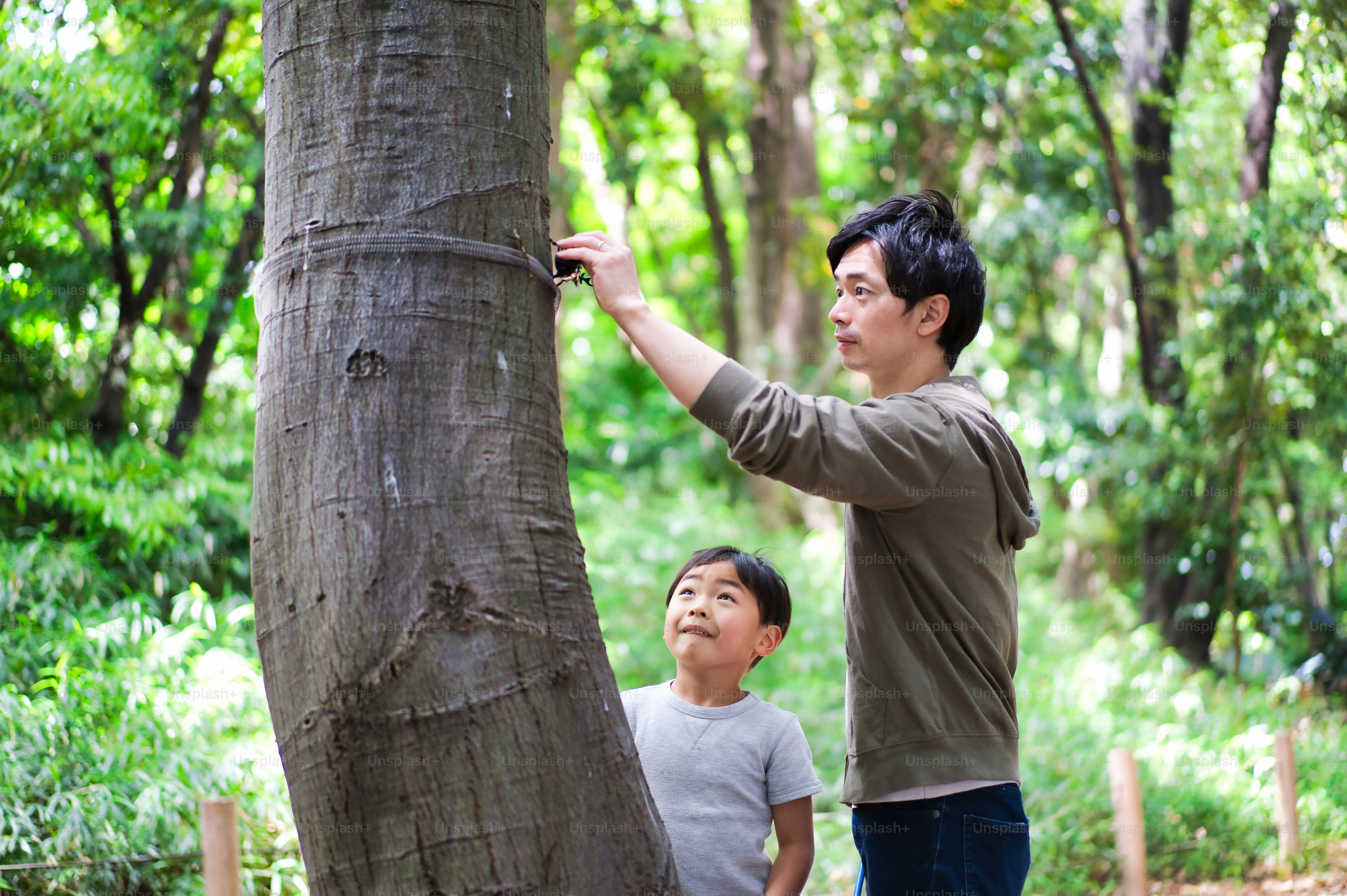 Parents and children catching bugs photo – Korea Image on Unsplash