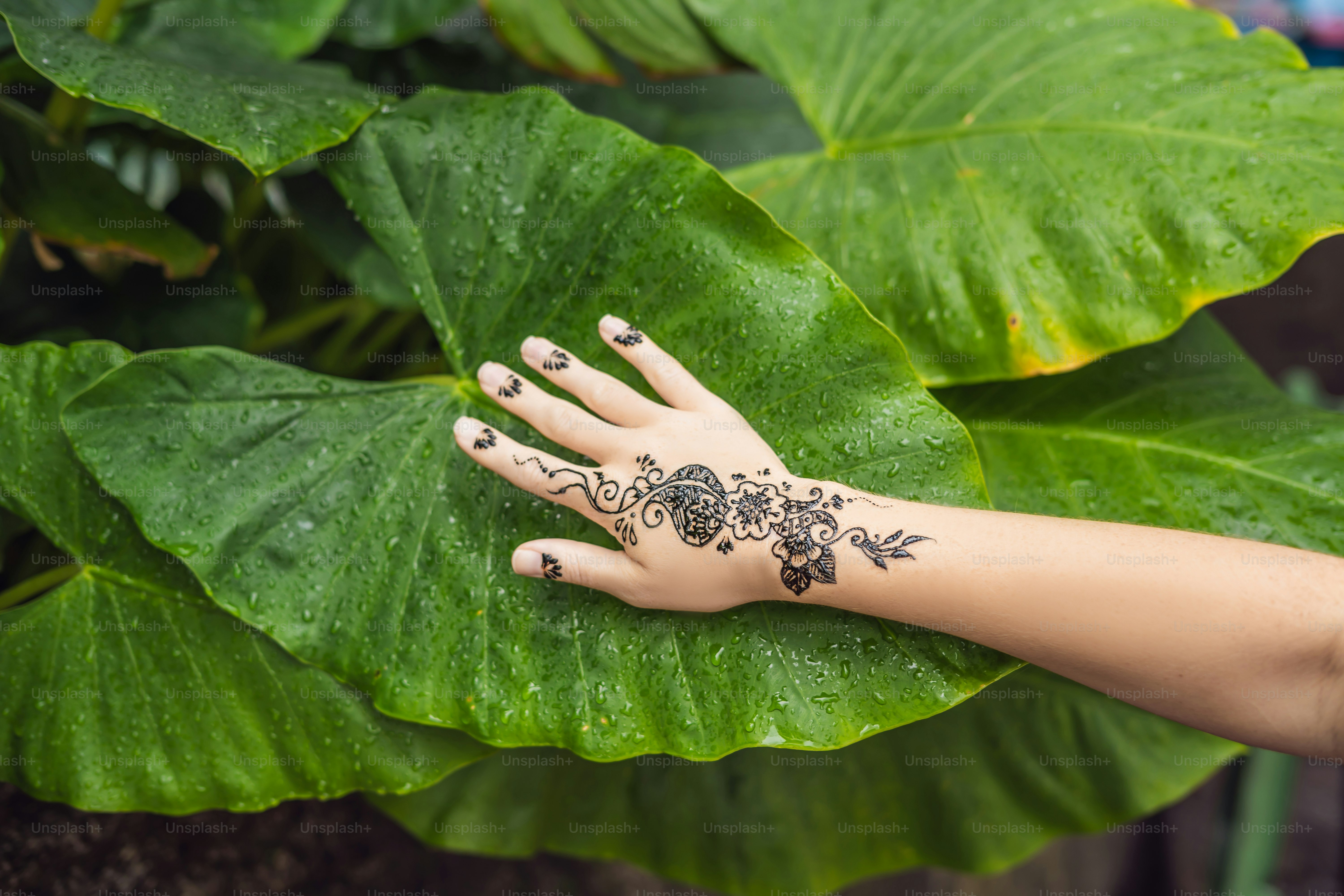 Picture of human hand decorated with henna Tattoo. mehendi hand. photo ...