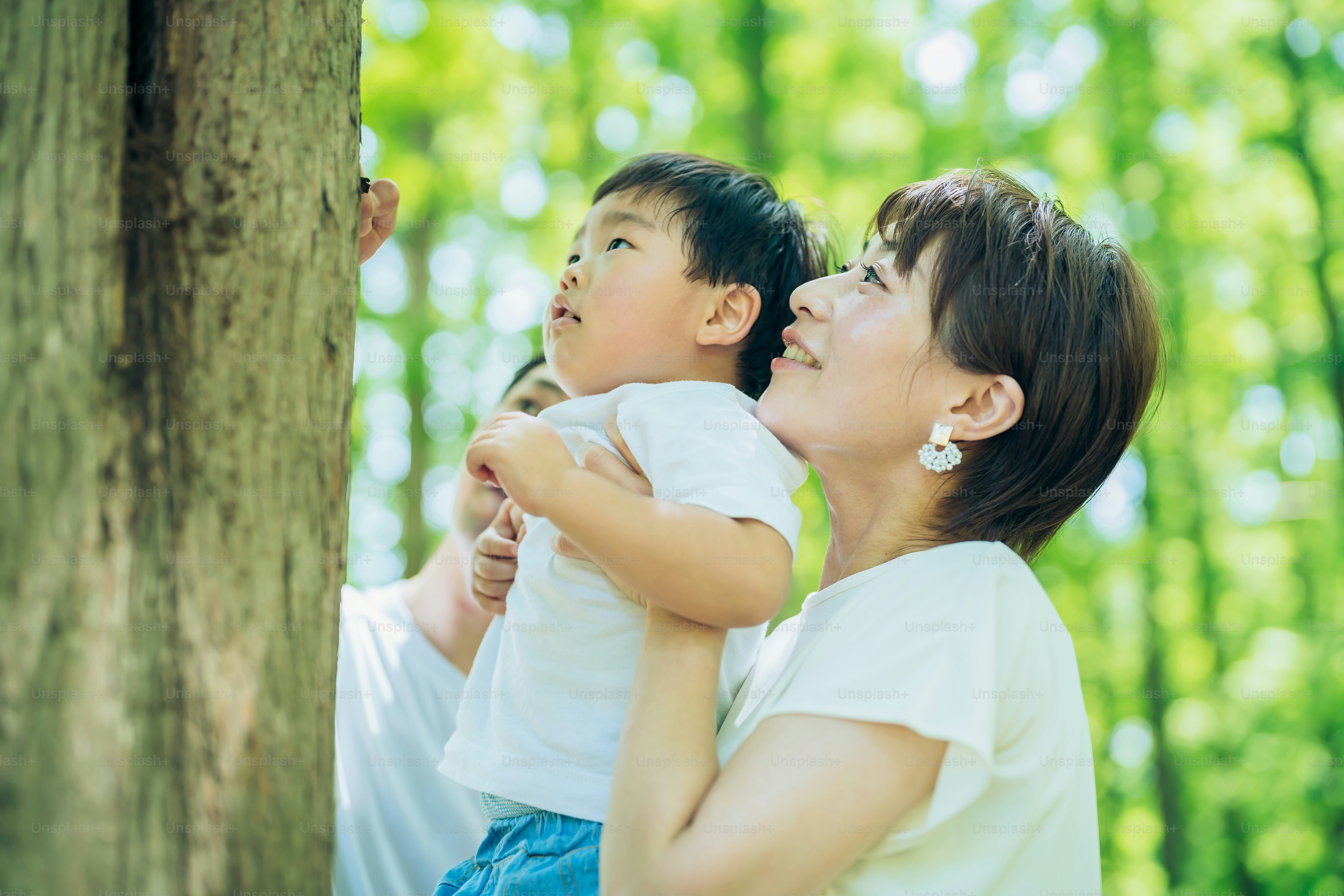 Niño y padres explorando el bosque en un buen día foto – Imagen de Al ...